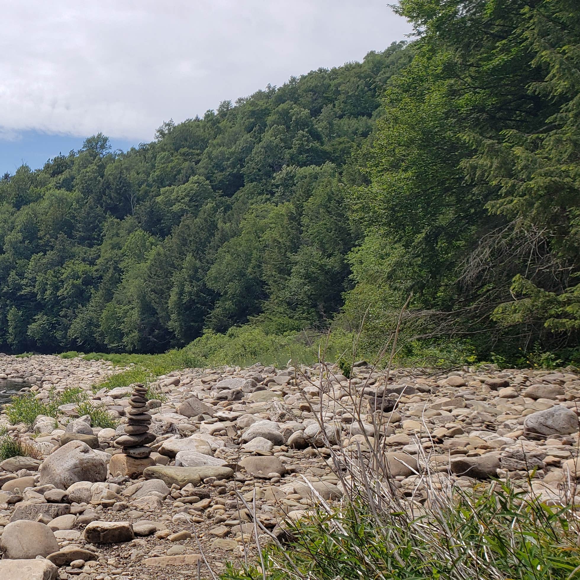 Loyalsock State Forest Camping | The Dyrt