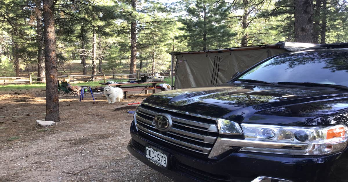 Camper-Submitted Photos of Nizhoni