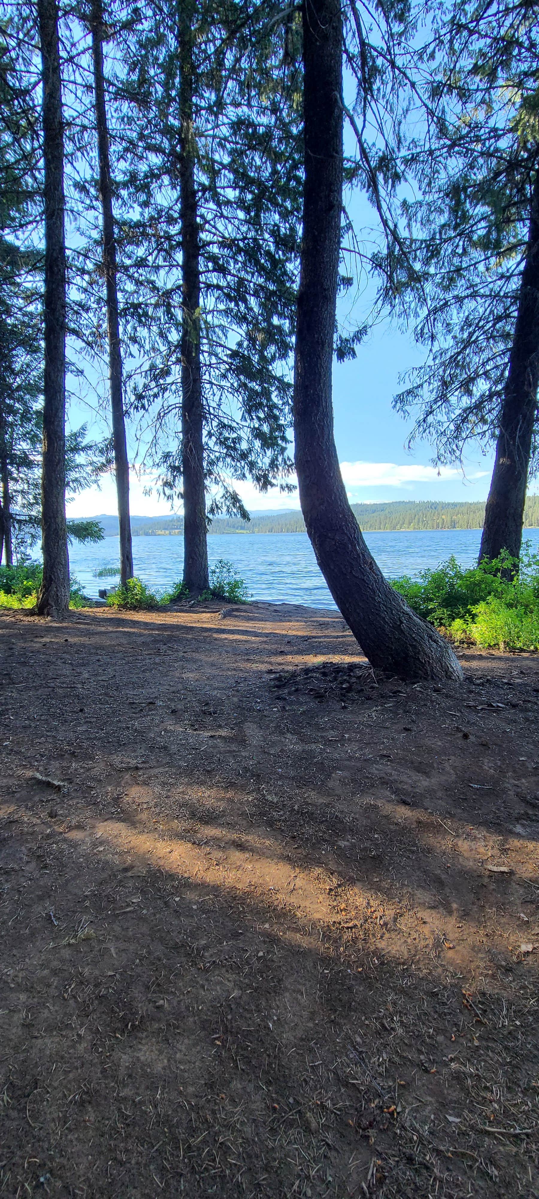 Rapid Creek Dispersed Camping Area Camping | The Dyrt