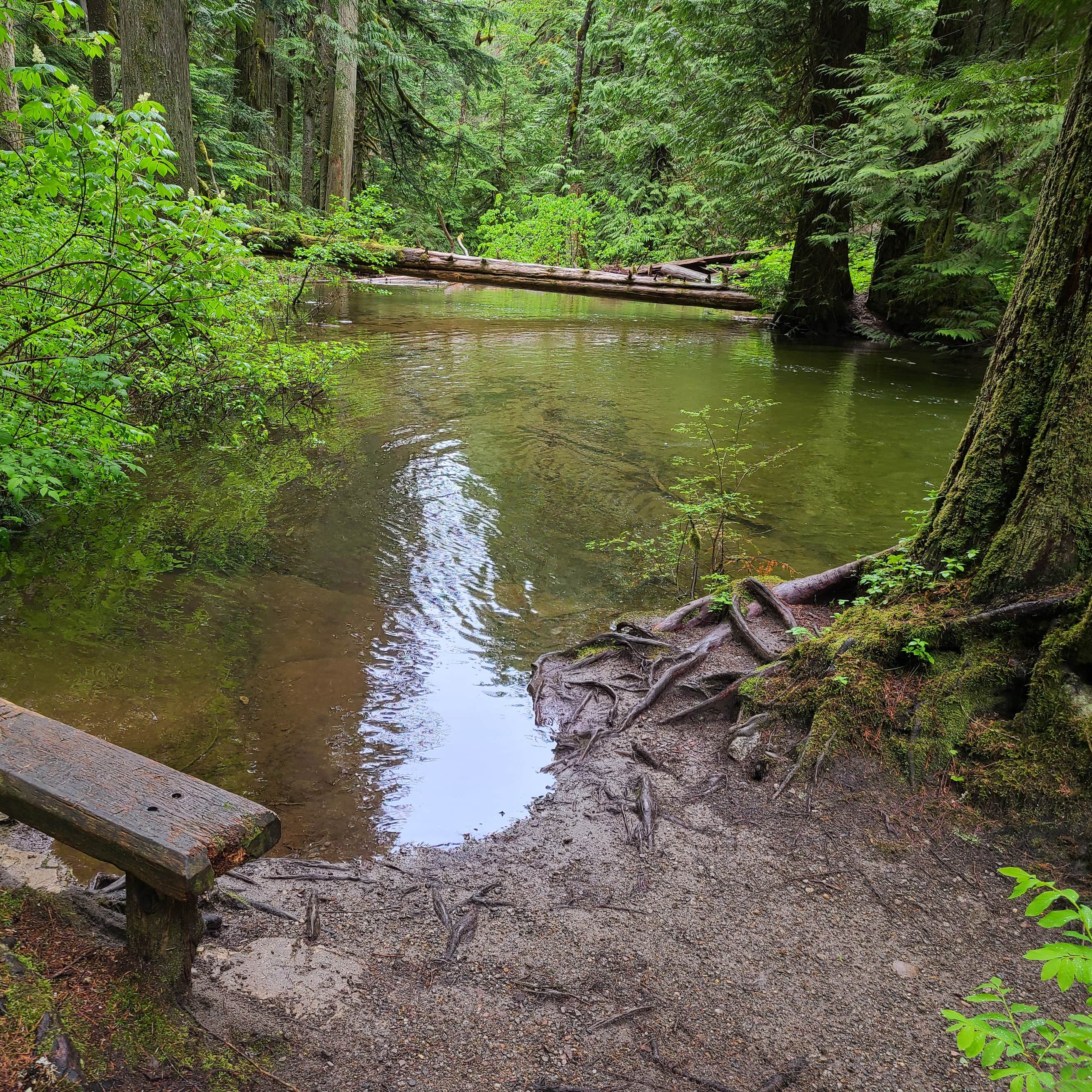 Thousand Trails Thunderbird Camping | Sultan, Washington