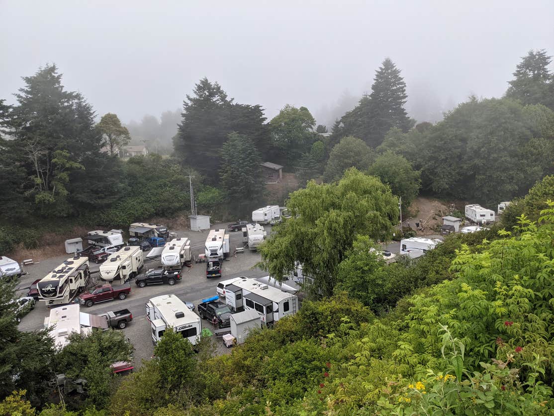 Driftwood RV Park | The Dyrt