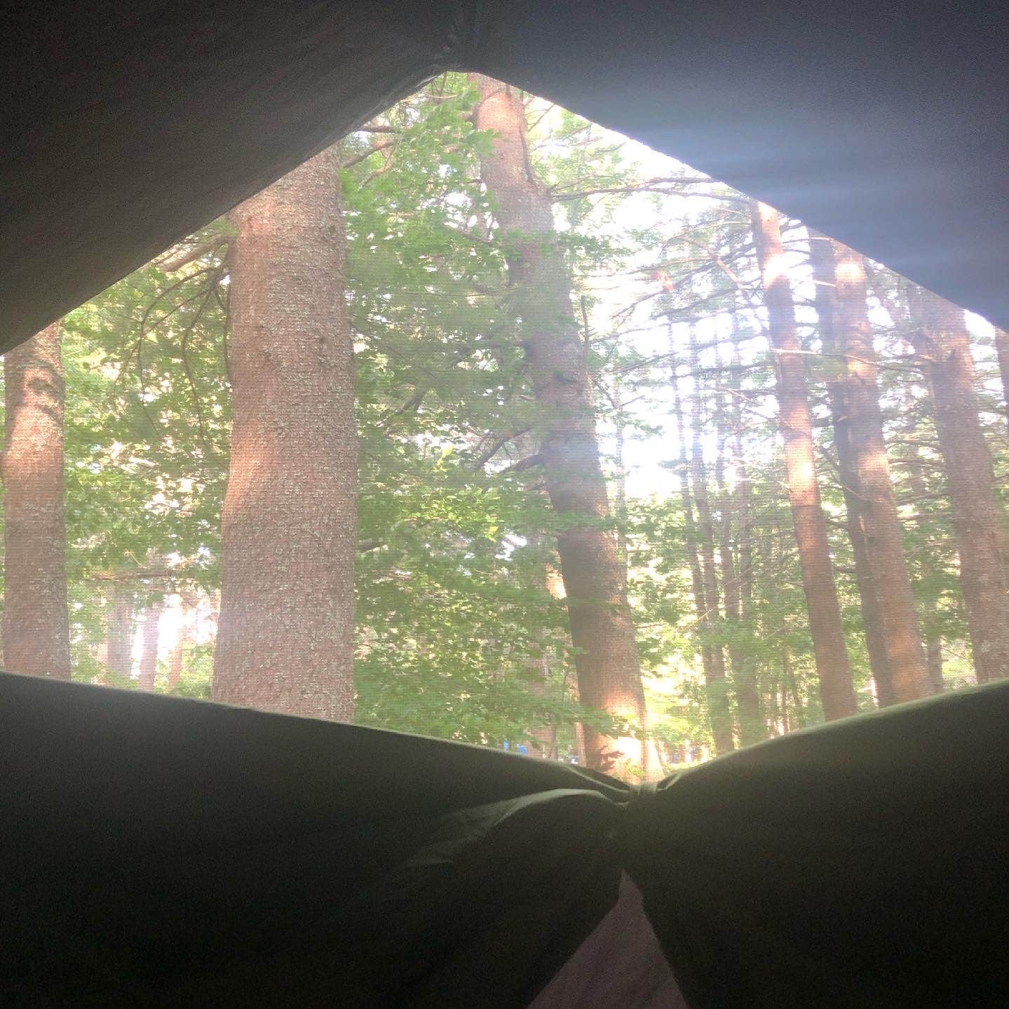 Sebago Lake State Park Campground | Naples, Maine