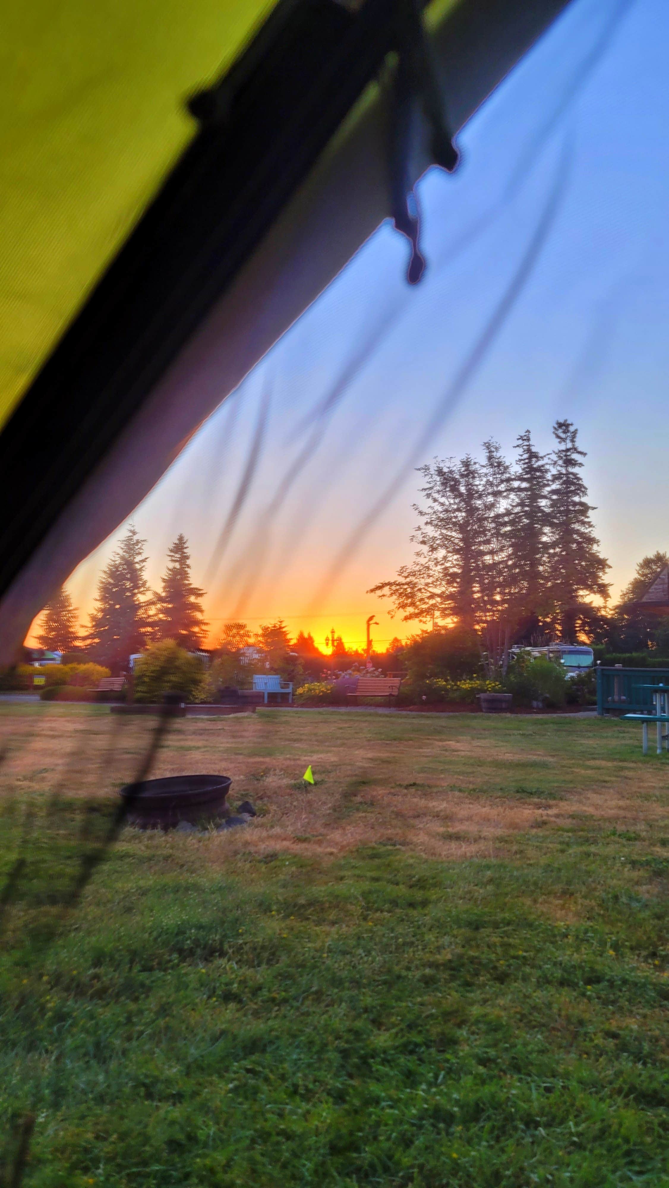 The Cedars RV Resort | Ferndale, WA