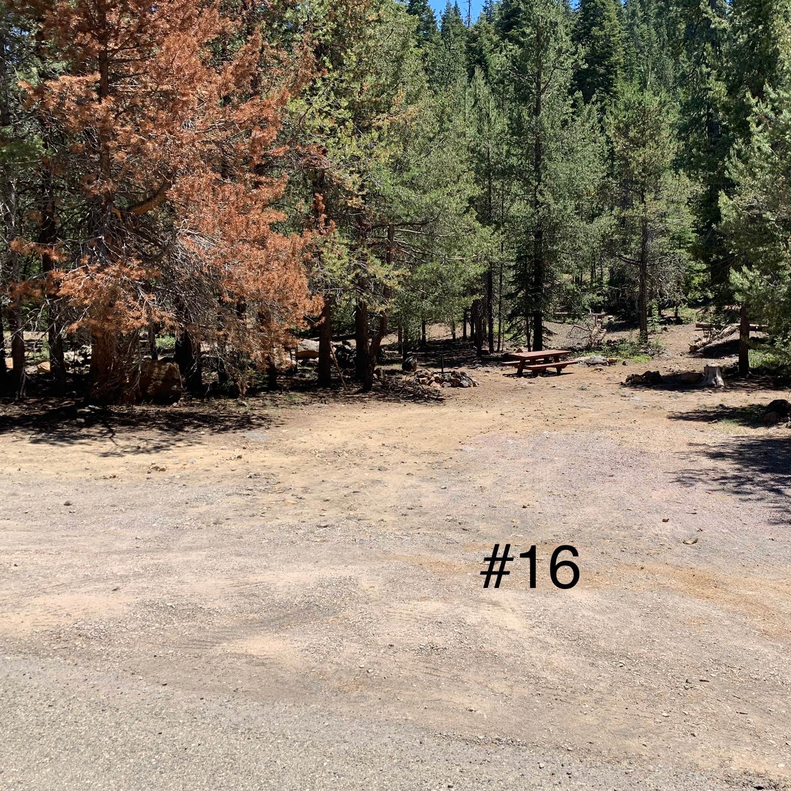 Crater Lake Campground | Lassen National Forest, California