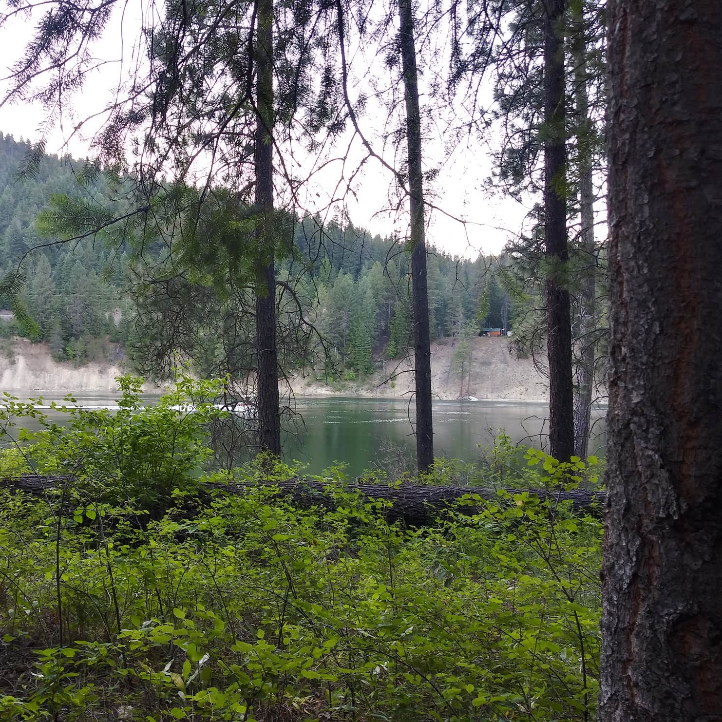 Edgewater Campground | Ione, WA