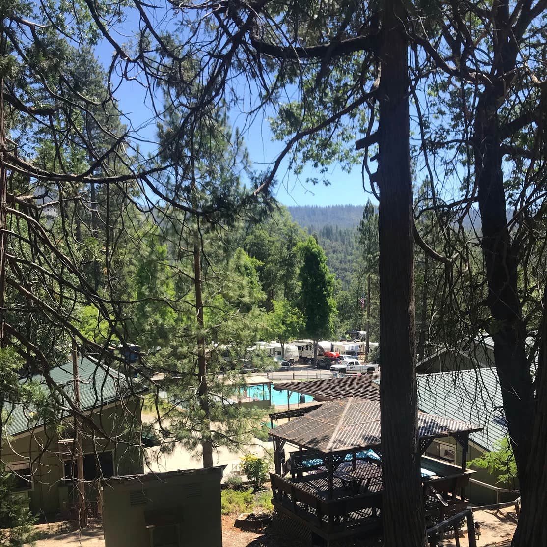 Bass Lake at Yosemite RV Resort Camping | The Dyrt