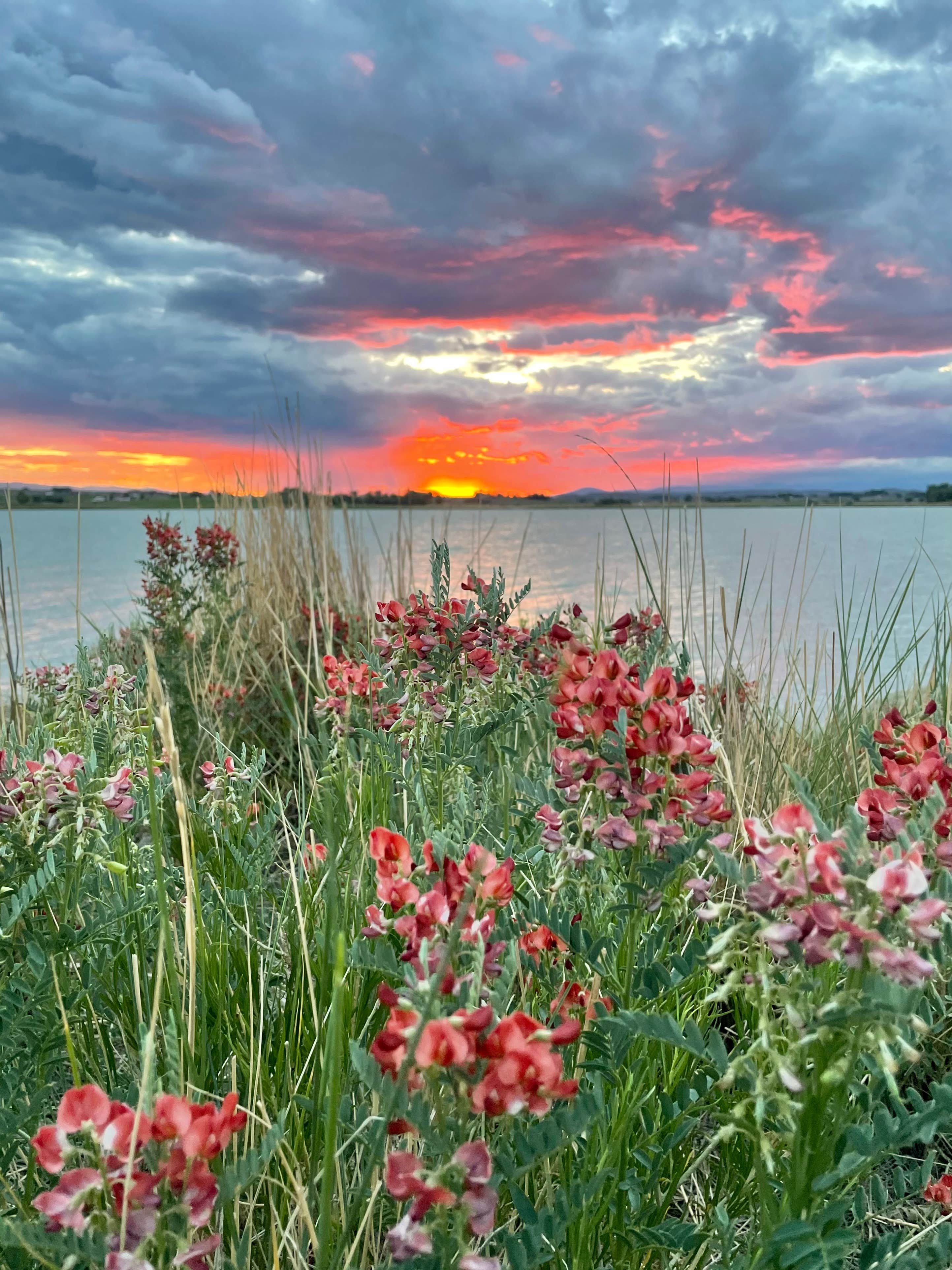 Ocean Lake Camping | Riverton, WY