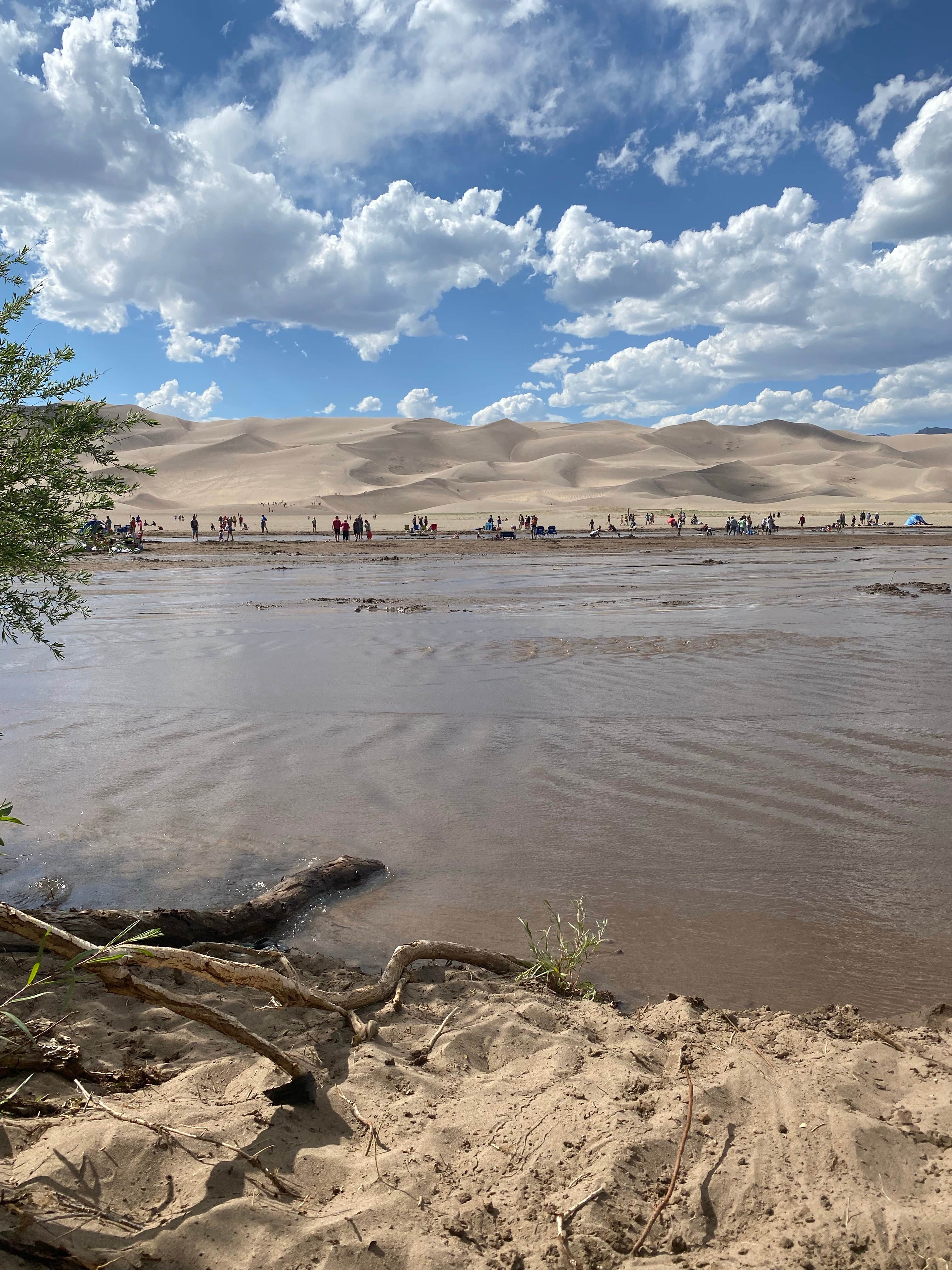 Best dispersed camping in Great Sand Dunes National Park And Preserve ...