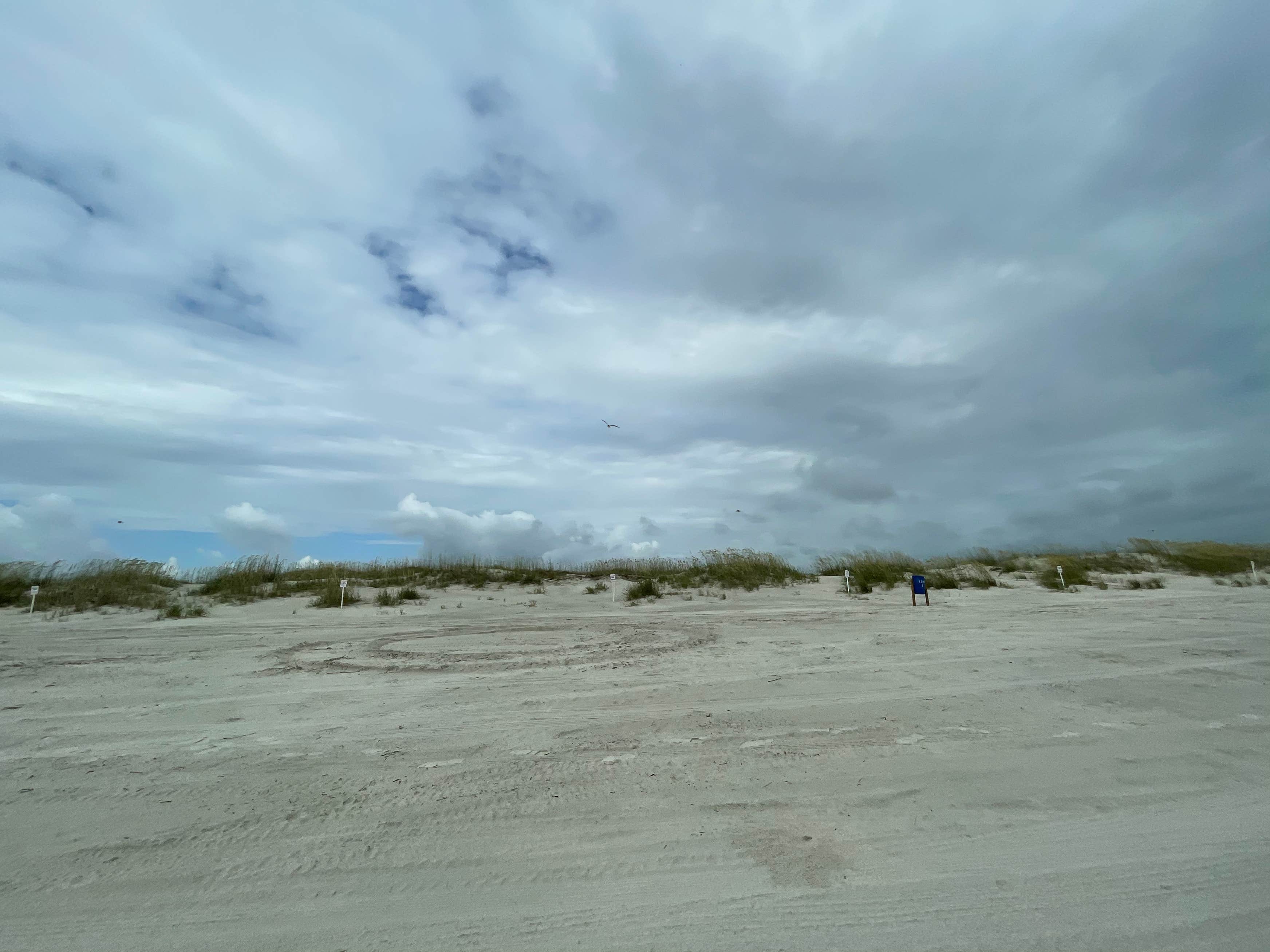 Huguenot Memorial Park | The Dyrt