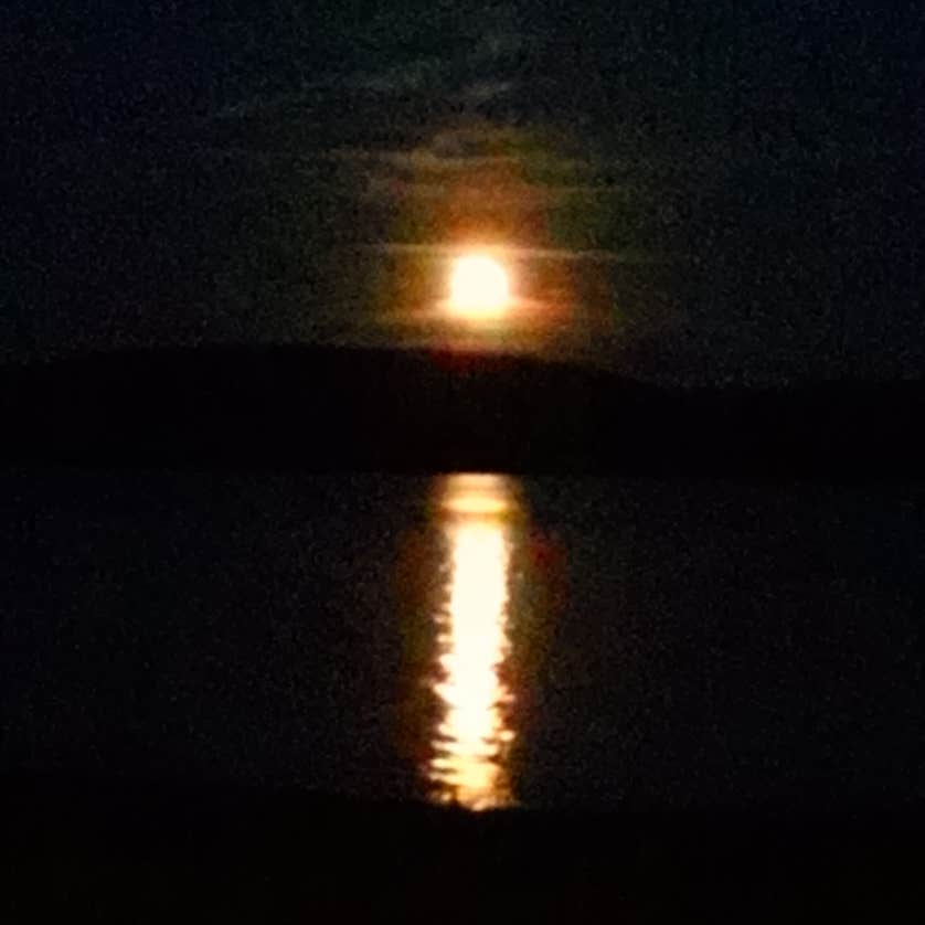 Chester Frost Park Camping | The Dyrt