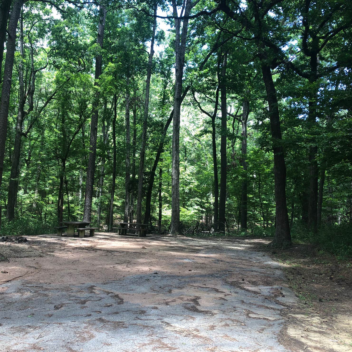 Ragtown Campground Camping | The Dyrt