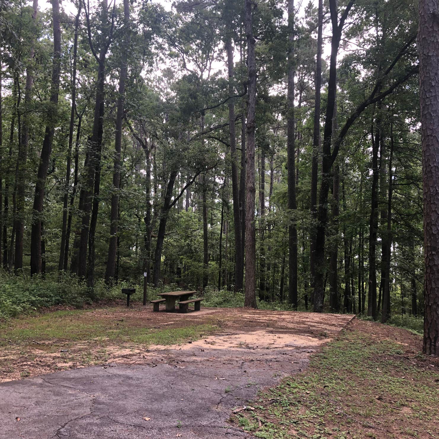 Ragtown Campground Camping | The Dyrt