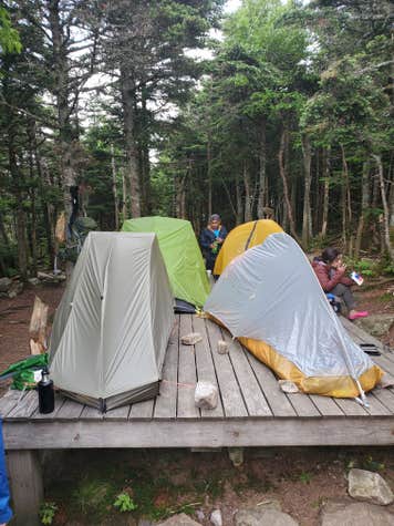 Garfield Ridge Campsite and Shelter, Appalachian Trail Camping | The Dyrt