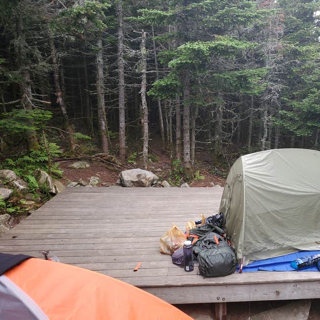 Garfield Ridge Campsite and Shelter, Appalachian Trail Camping | The Dyrt