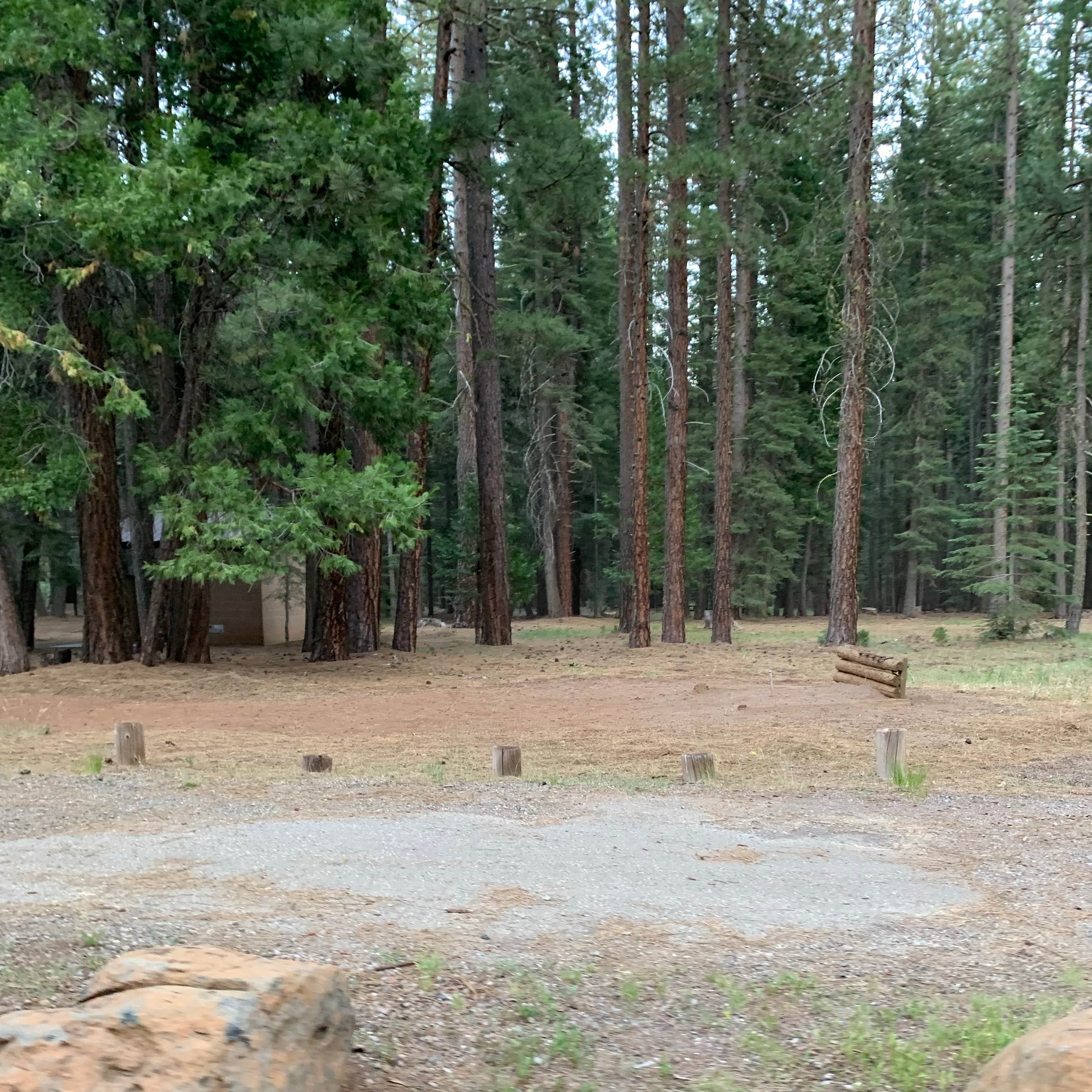 PG&E Lake Almanor Area Last Chance Creek Campground Camping | The Dyrt