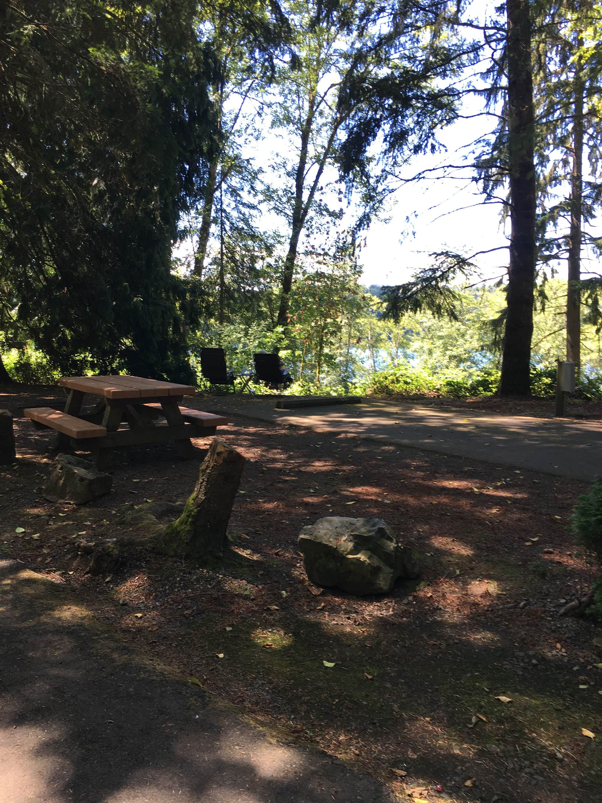 Mayfield Lake Park Camping | The Dyrt