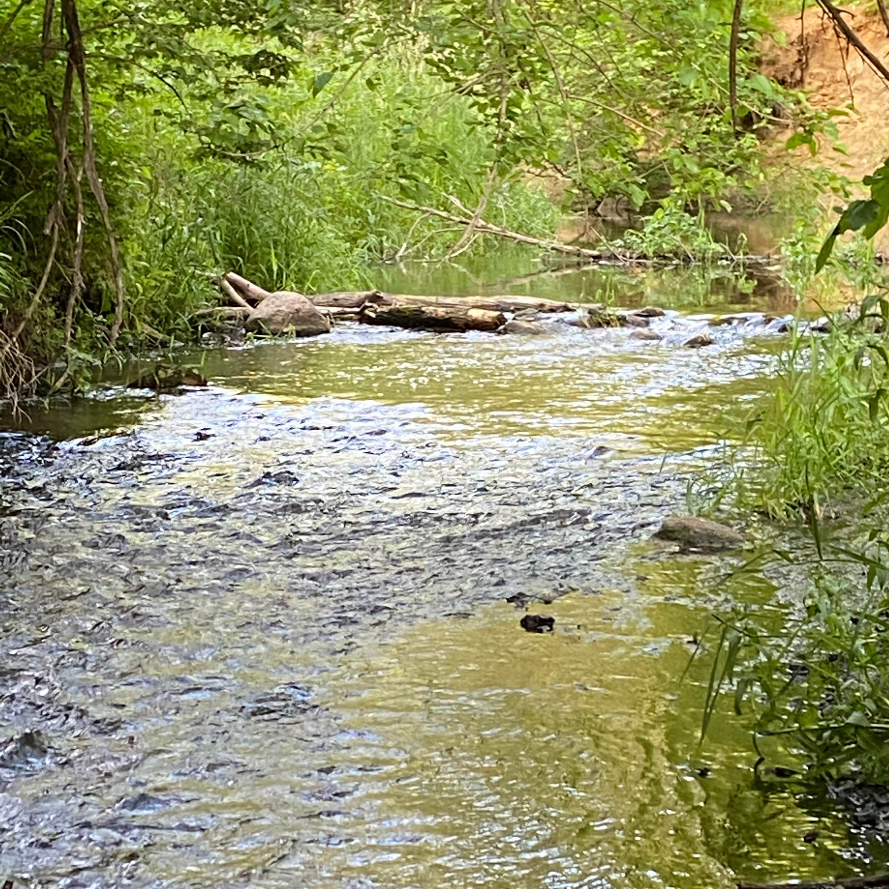 Thomas Mitchell County Park Camping | Mitchellville, Iowa