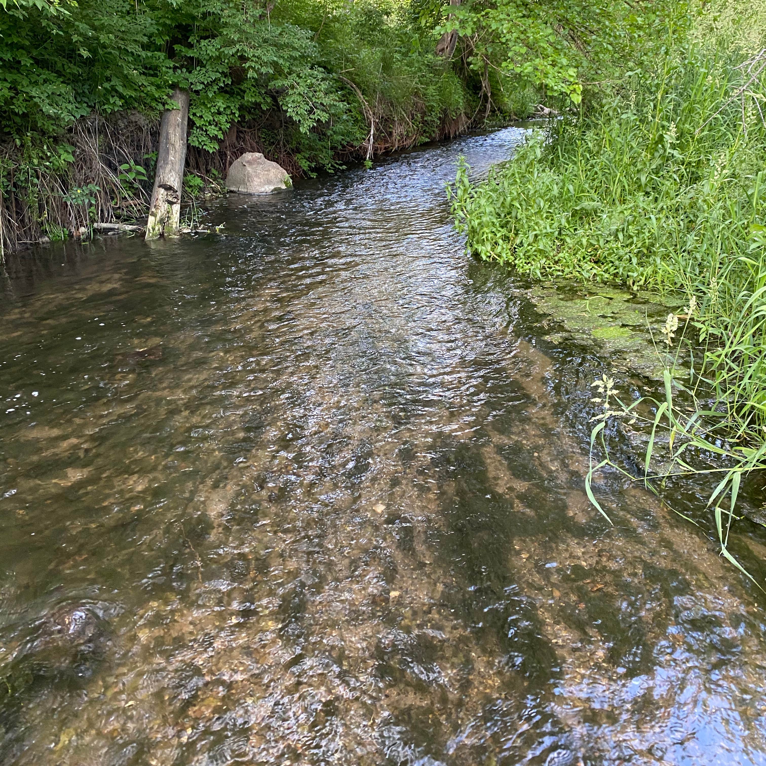 Thomas Mitchell County Park Camping | Mitchellville, Iowa