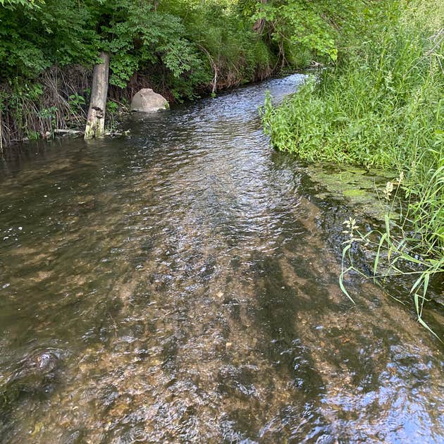 Thomas Mitchell County Park Camping | Mitchellville, Iowa