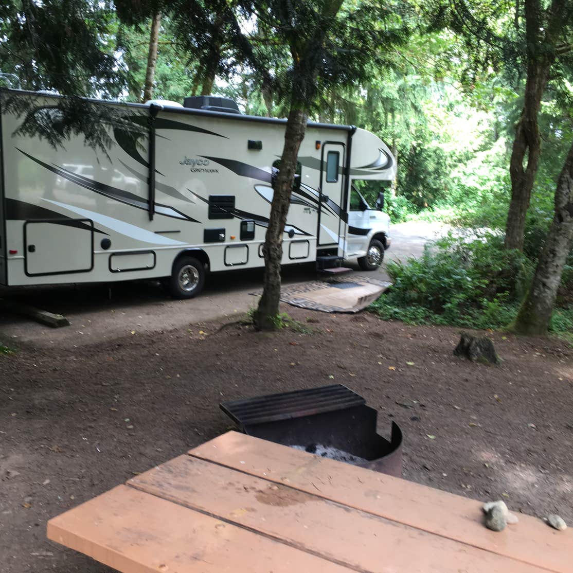 Mayfield Lake Park Camping | The Dyrt