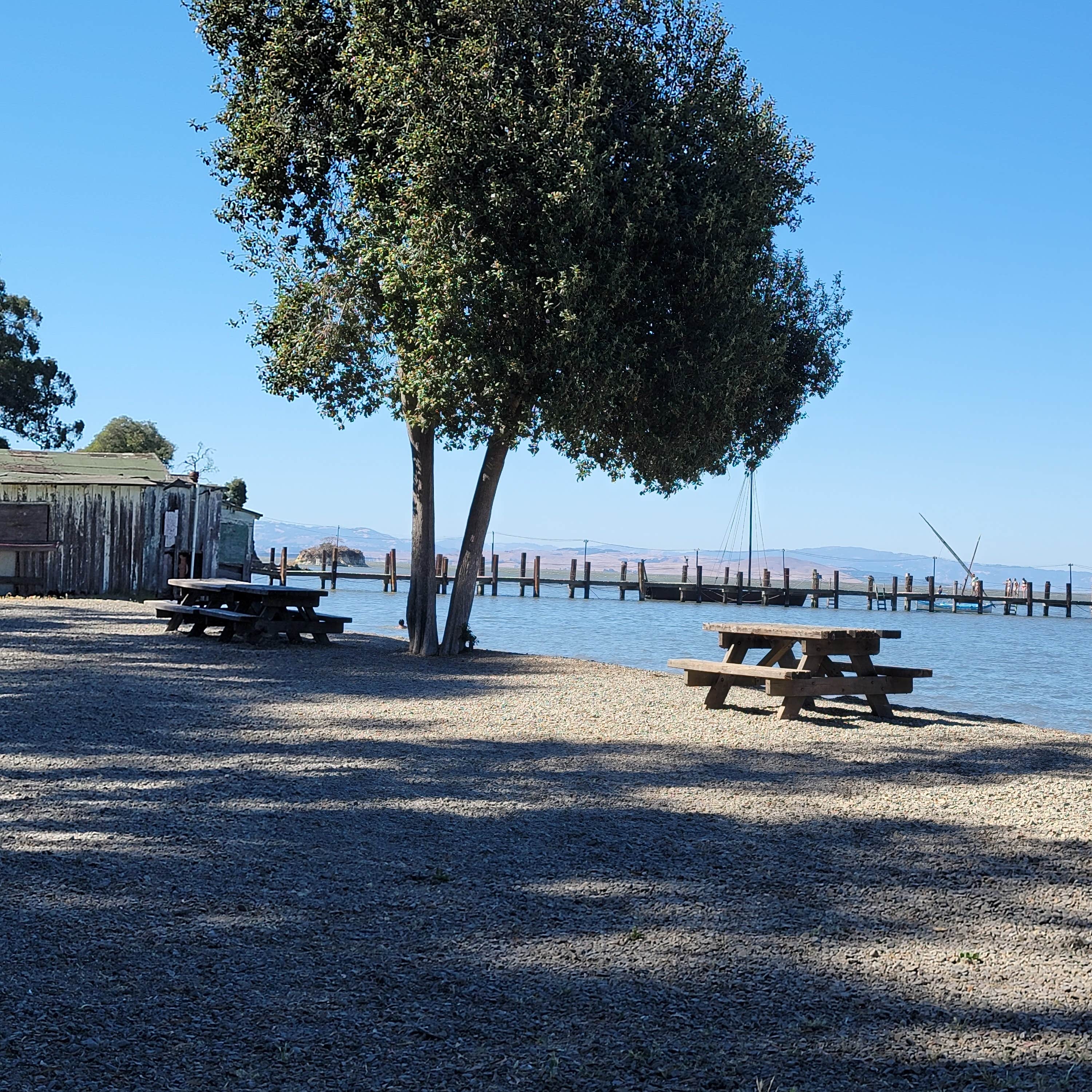 China Camp State Park Campground | Chino Hills, California