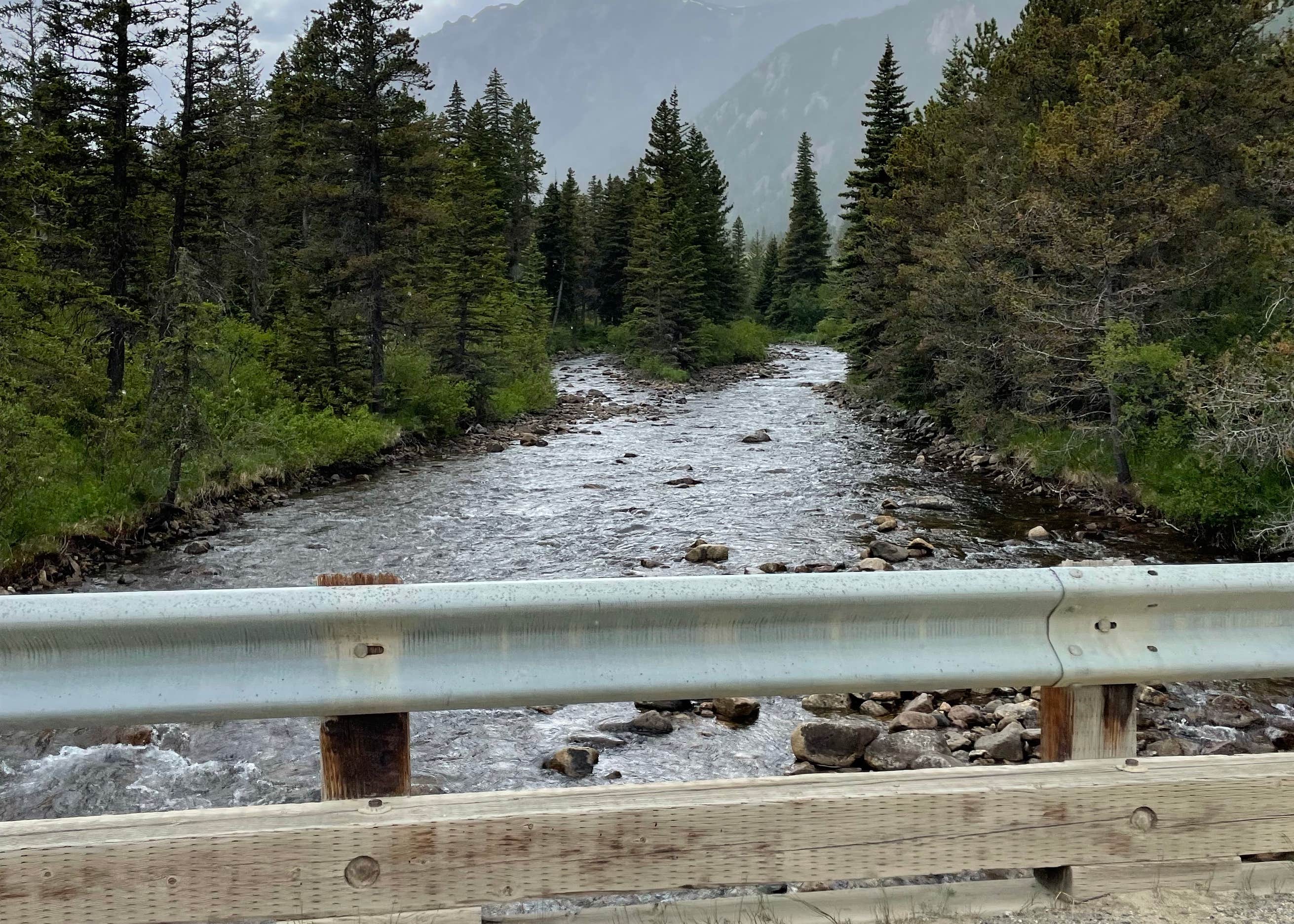 Emerald Lake Campground Camping | The Dyrt