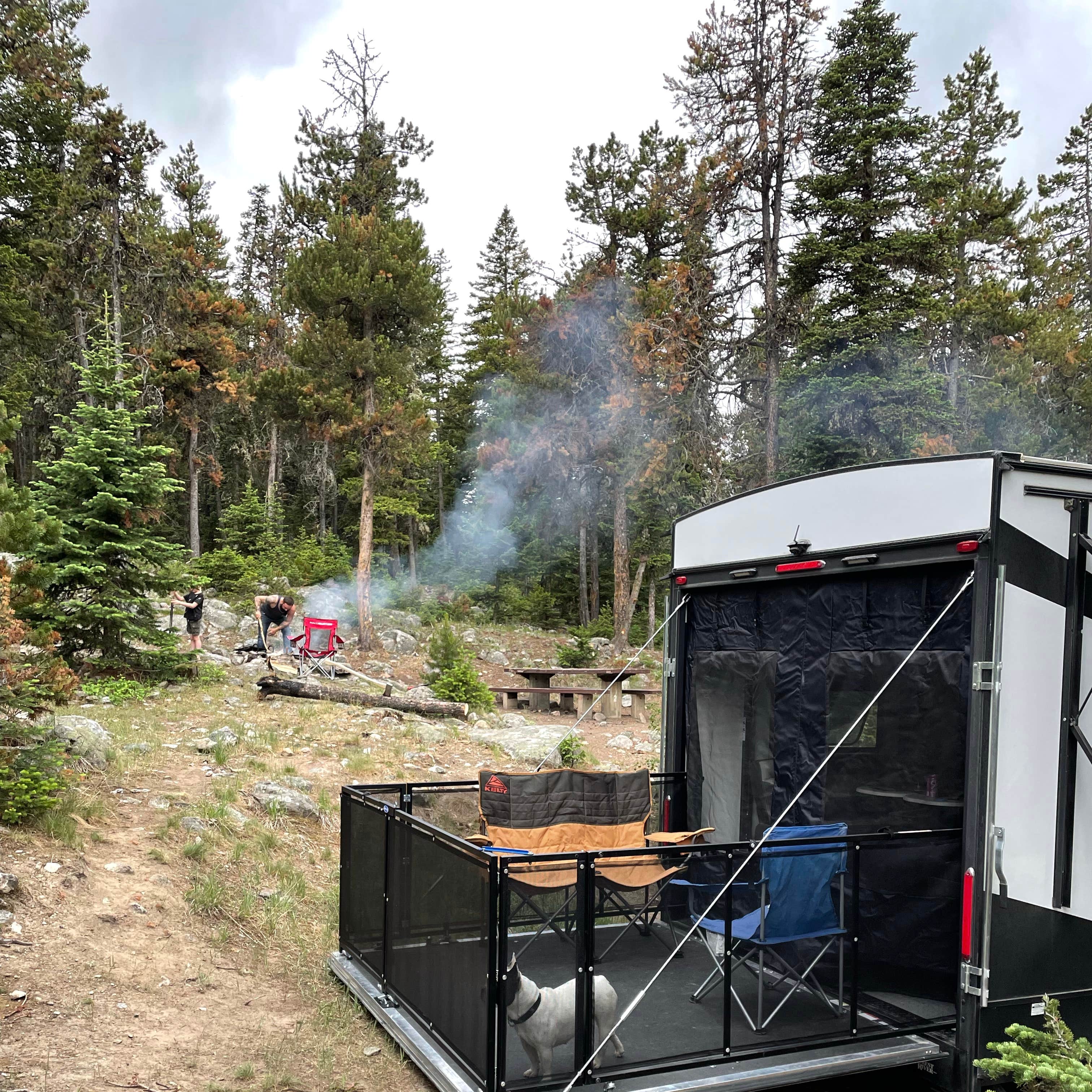 Emerald Lake Campground Camping | The Dyrt