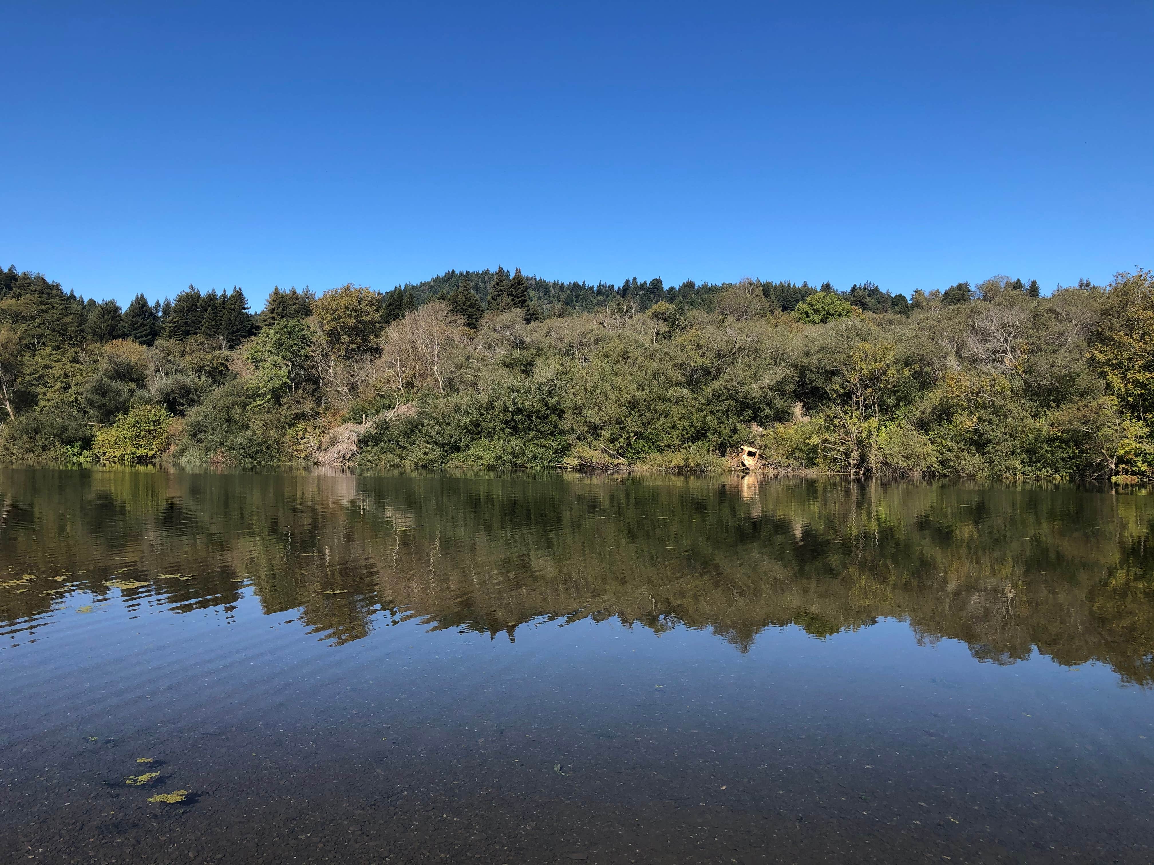 Casini Ranch Family Campground | Duncans Mills, CA