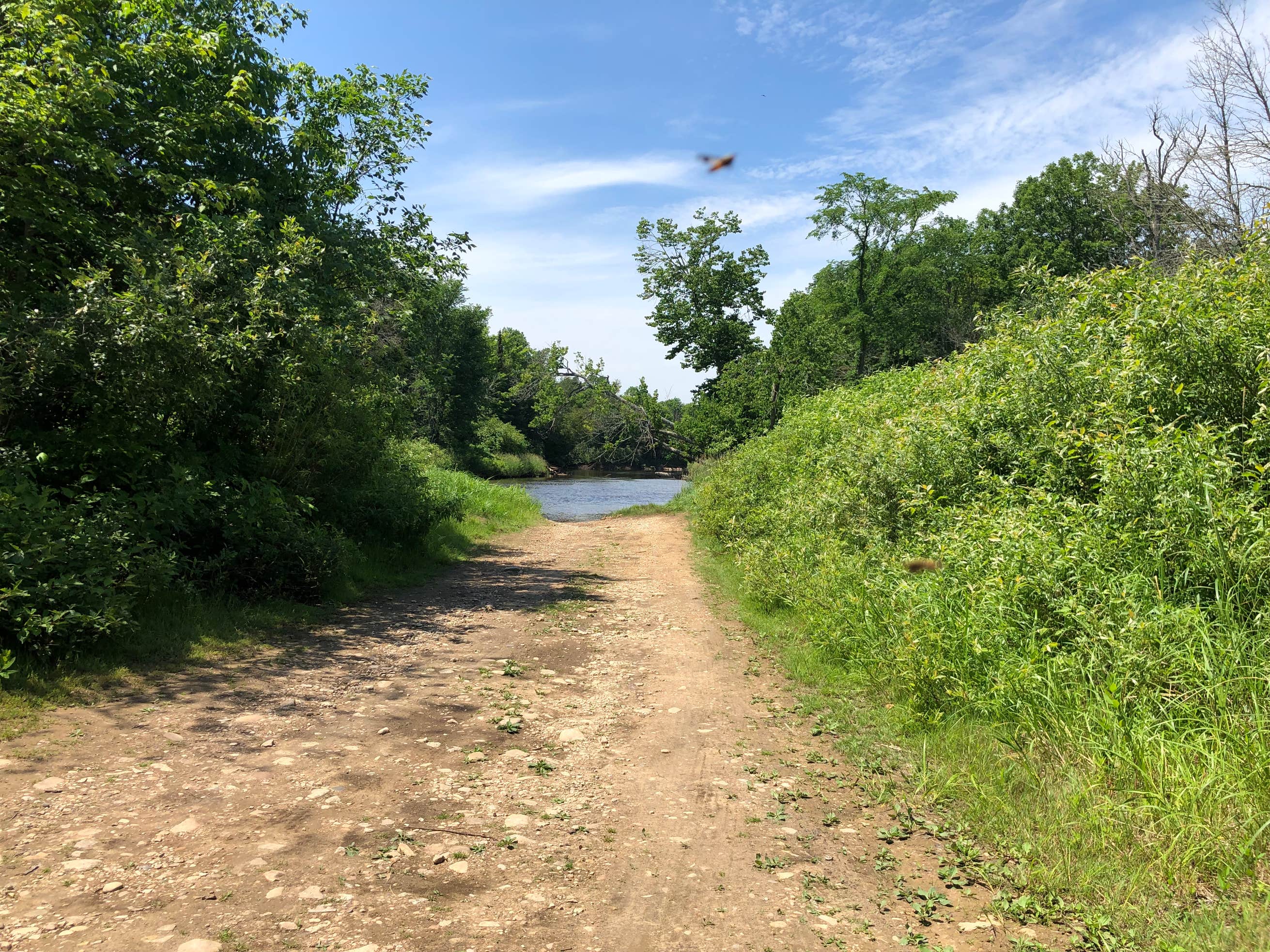 Merwin Creek State Forest Campground Camping | The Dyrt