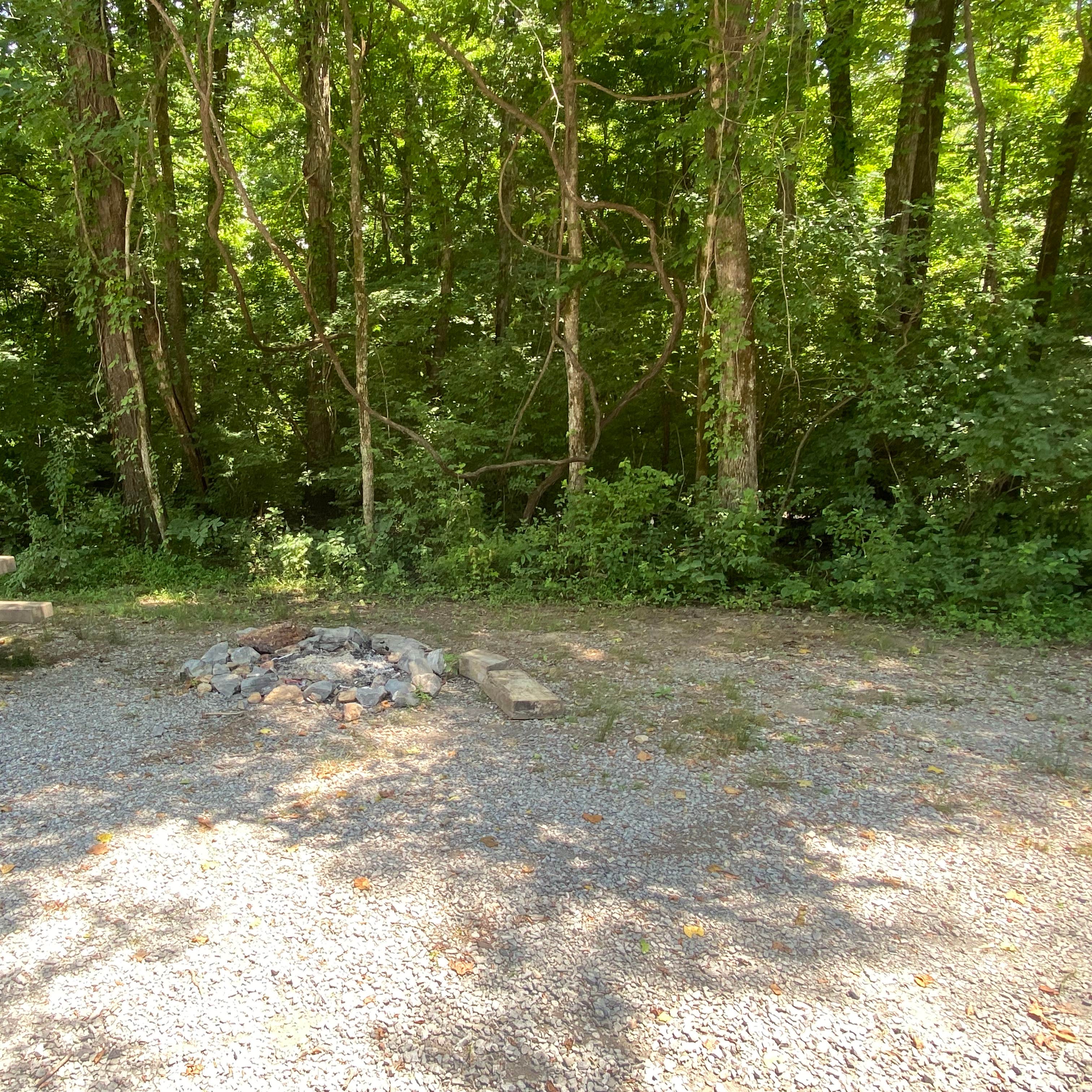 Turkey Bay Vehicle Area & Campground | Land Between the Lakes National ...