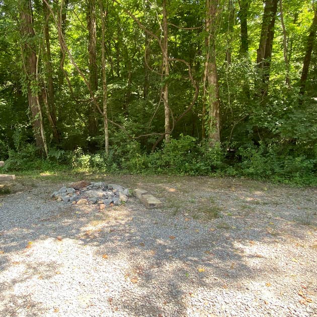 Turkey Bay Vehicle Area & Campground | Land Between the Lakes National ...