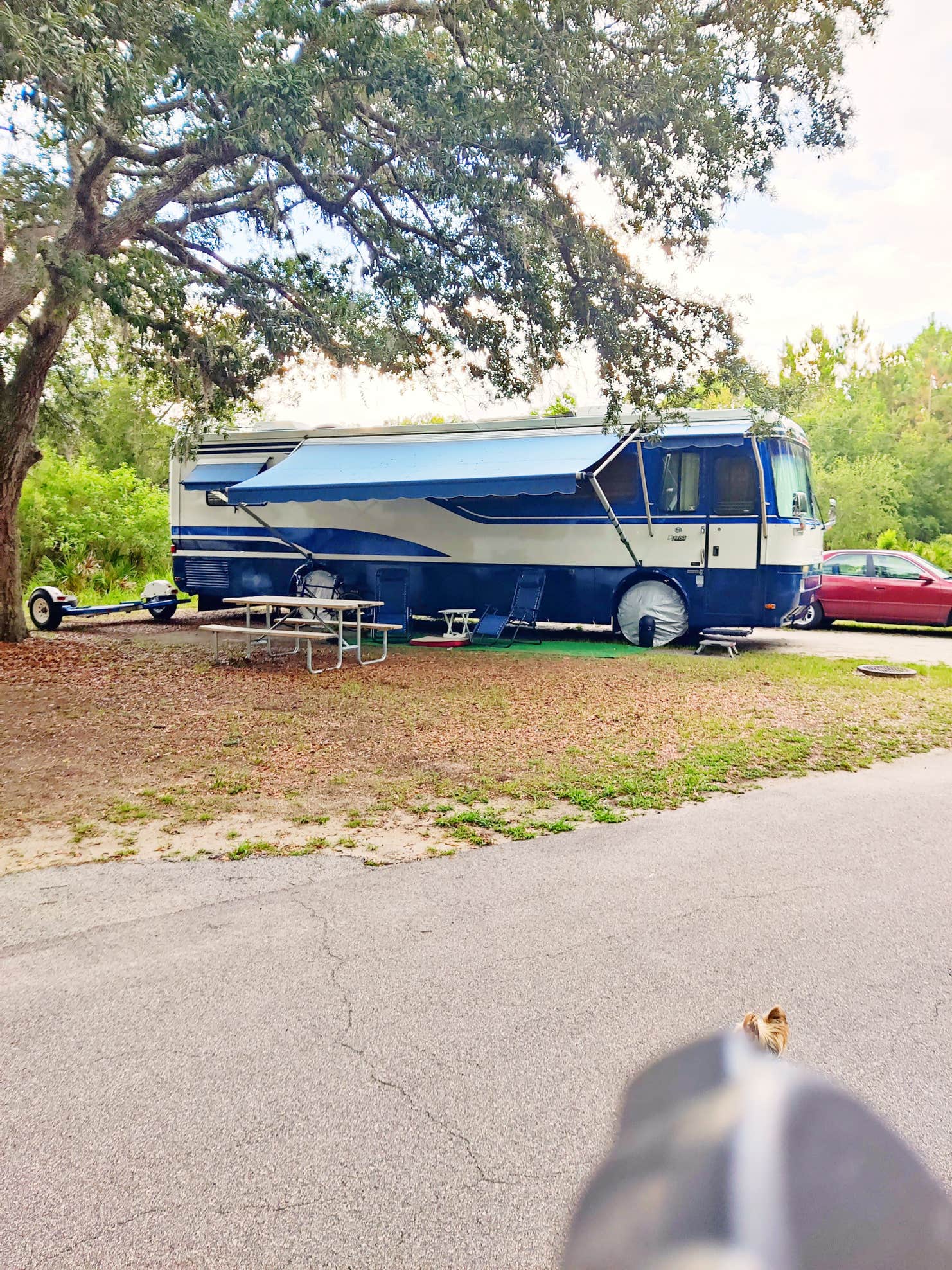 Lake Magic RV Resort | The Dyrt