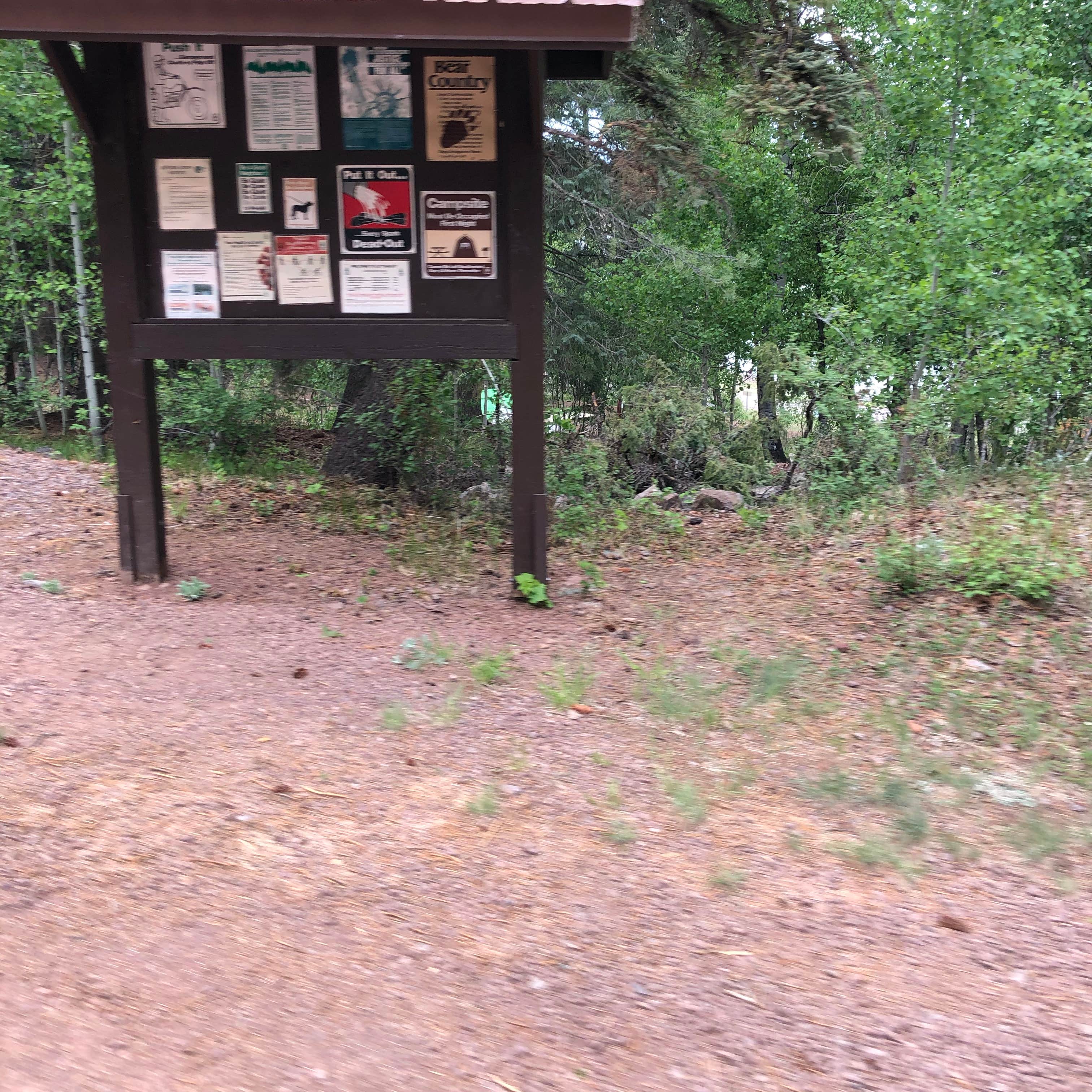 Cutthroat Camping | The Dyrt