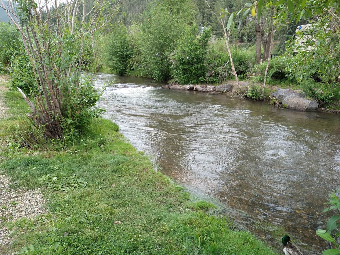 Red River RV Camping | The Dyrt