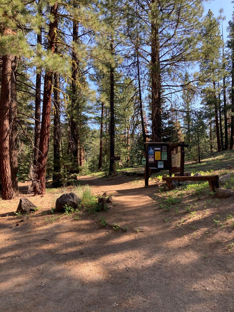 Likely Place RV and Golf Resort | Likely, CA