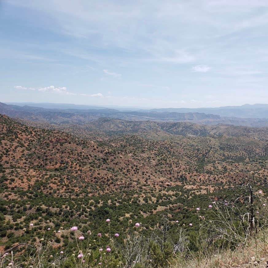 Sheeps Bridge BLM Area - Arizona Camping | The Dyrt