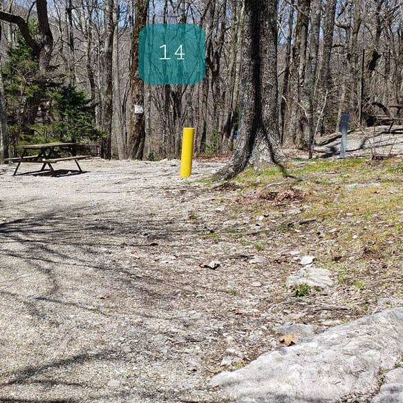 Chestnut Hollow Horse Campground — Grayson Highlands State Park ...