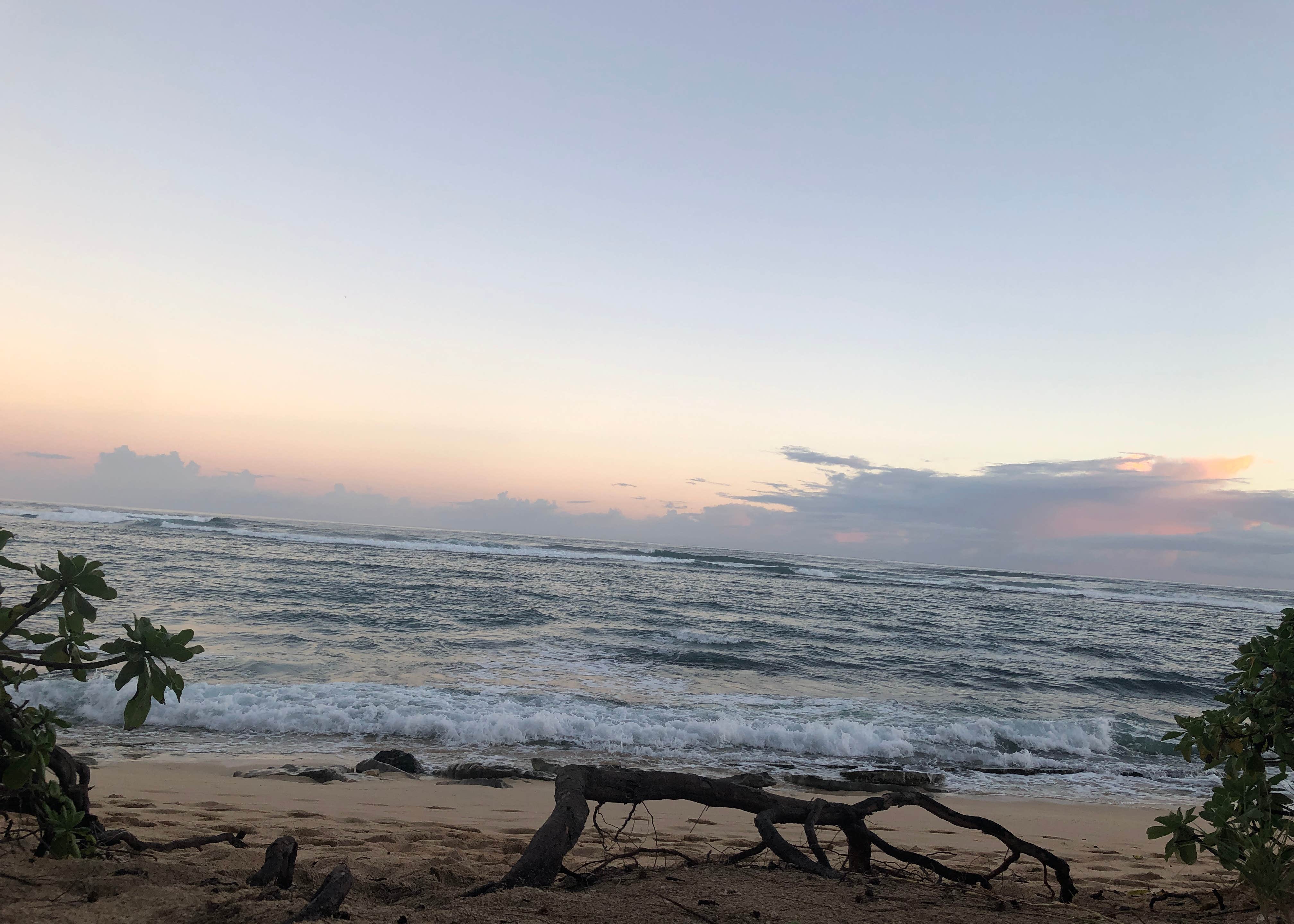 Camp Mokuleia Camping | The Dyrt