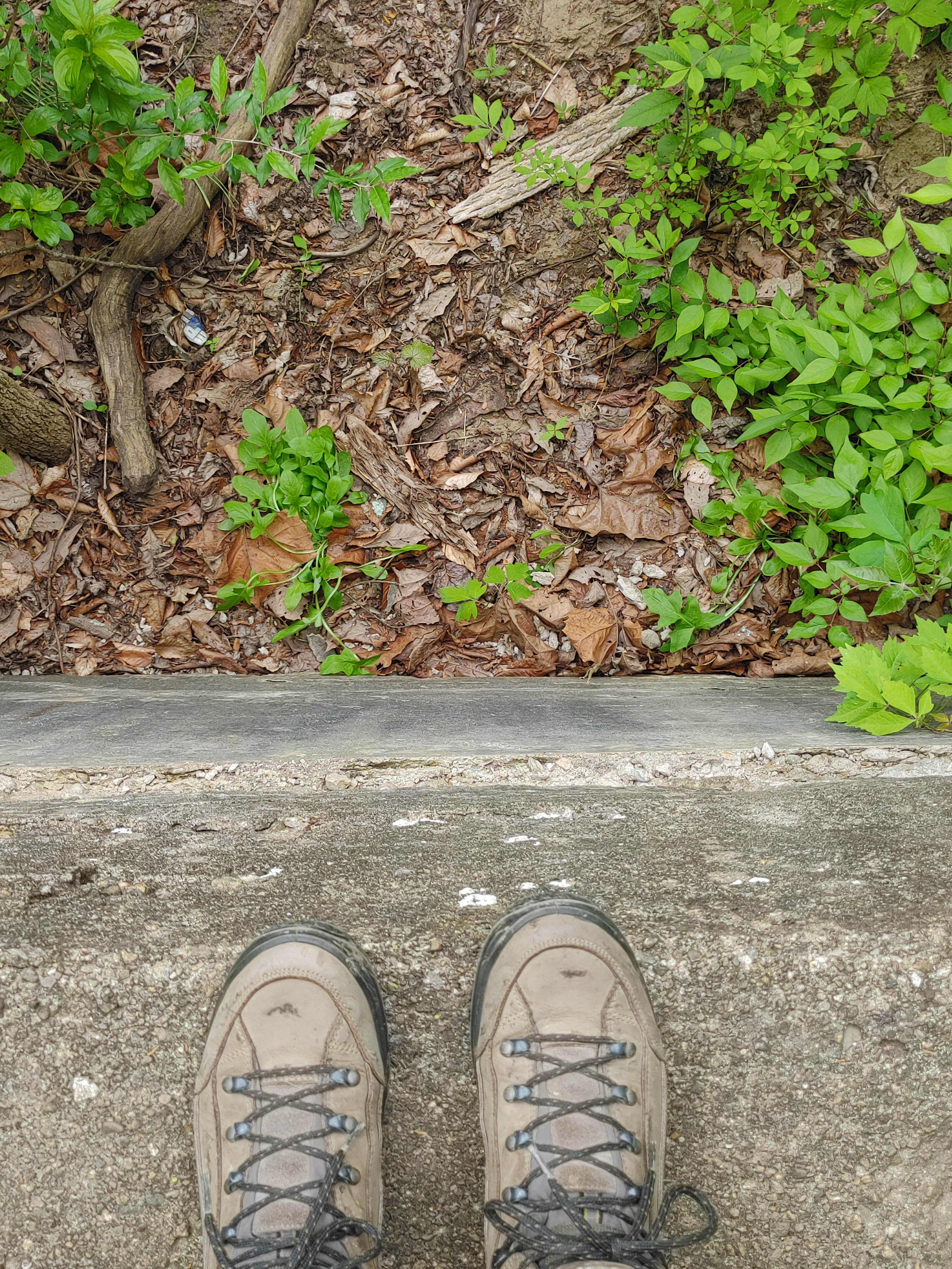 Possum Creek Metro park (Five Rivers Dayton Metro Park) Camping ...