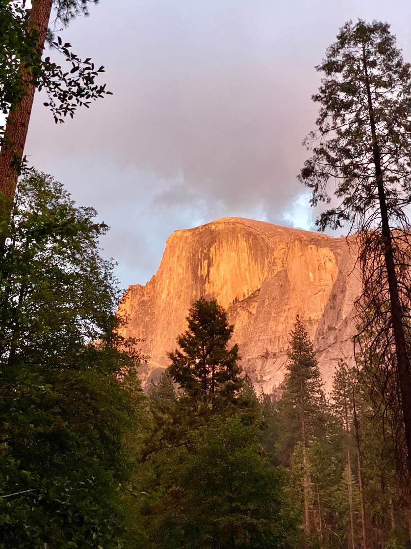 North Pines | The Dyrt