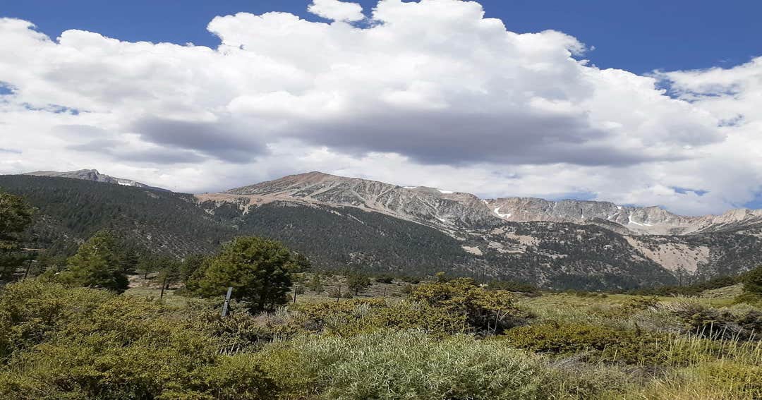 Lower Lee Vining Campground | Lee Vining, California