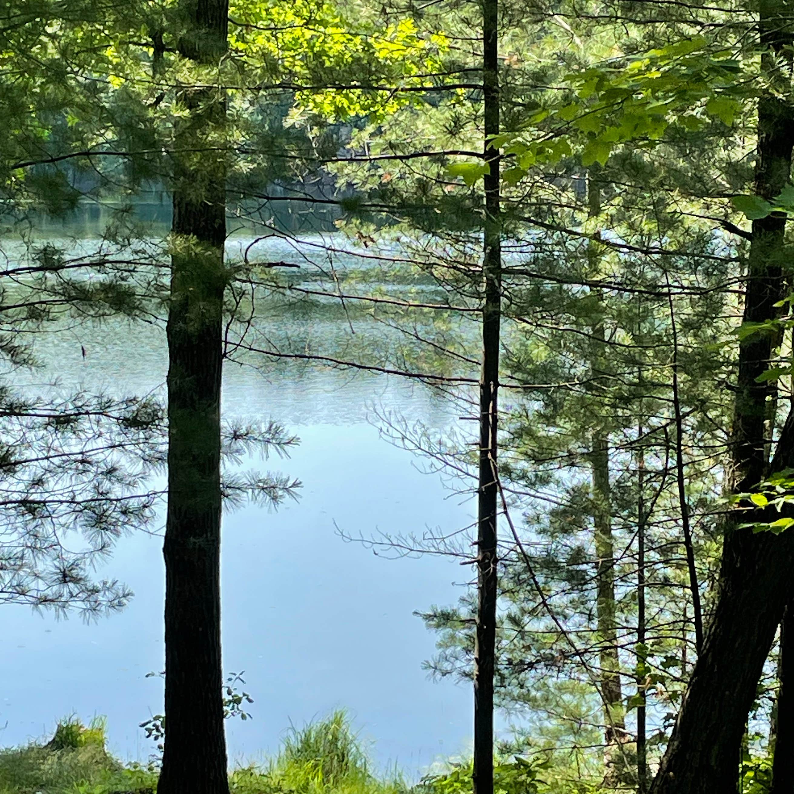 Two Lakes Camping | Drummond, Wisconsin