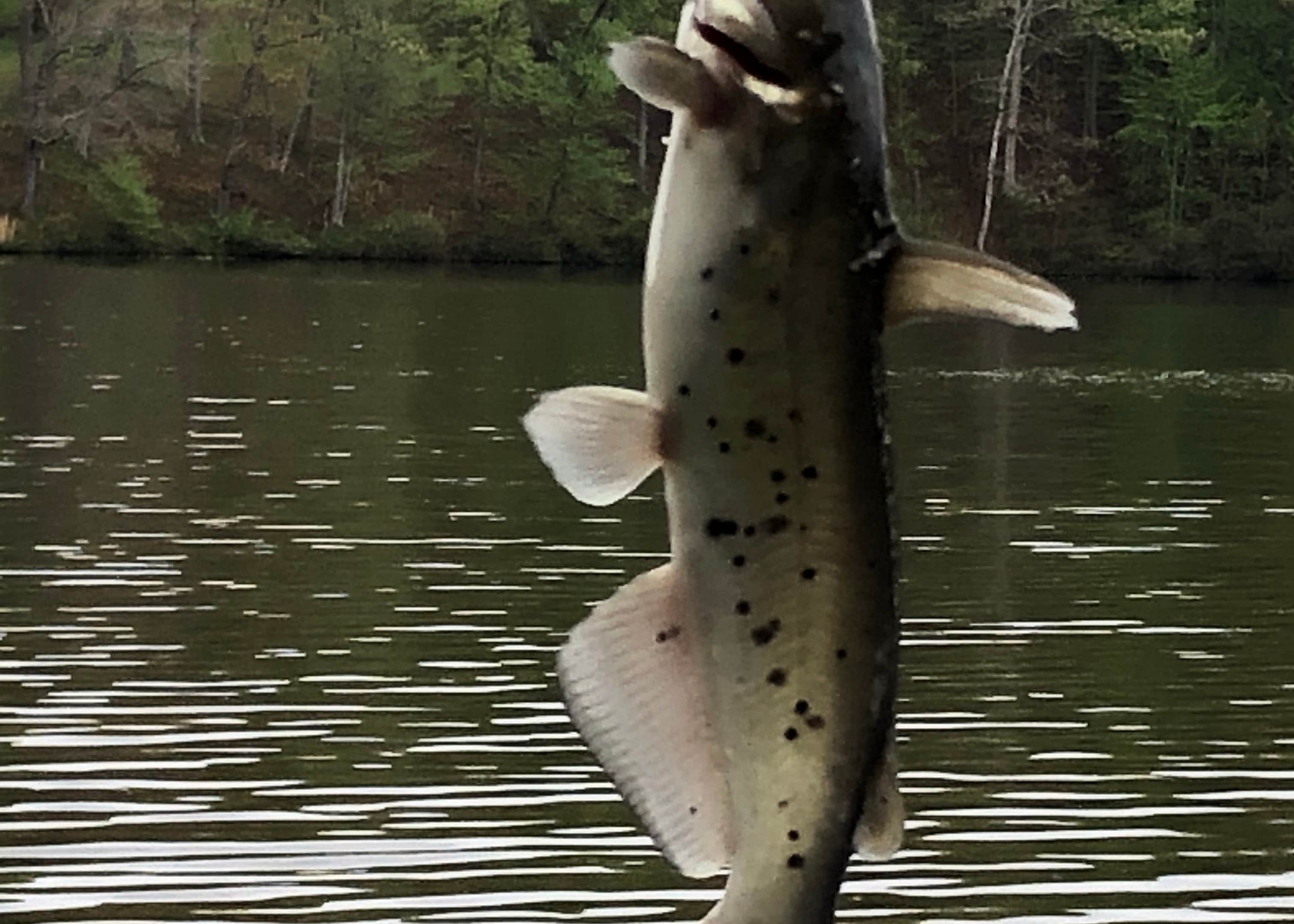 Jackson Lake State Park Camping | The Dyrt
