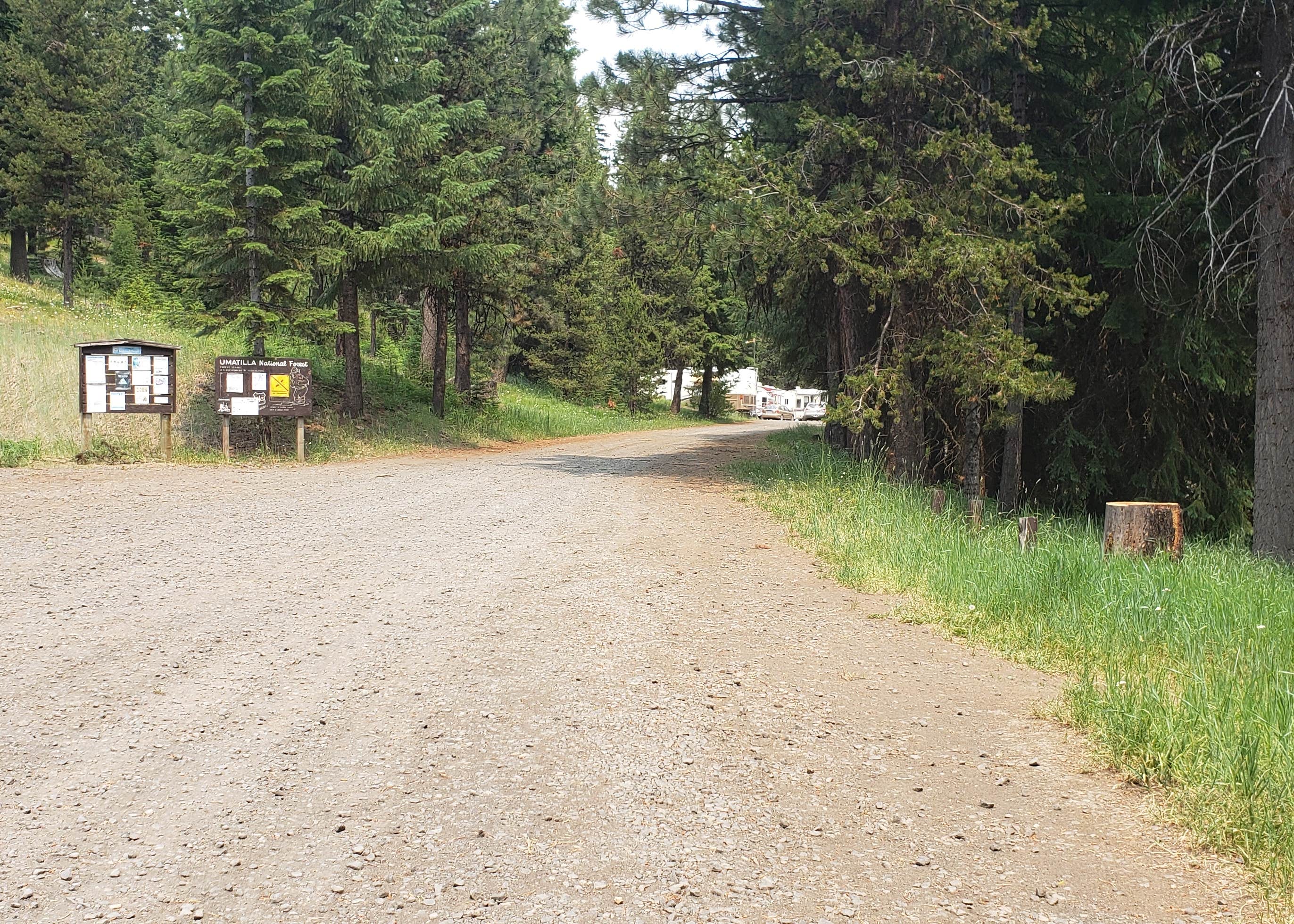 Penland Lake Camping | The Dyrt