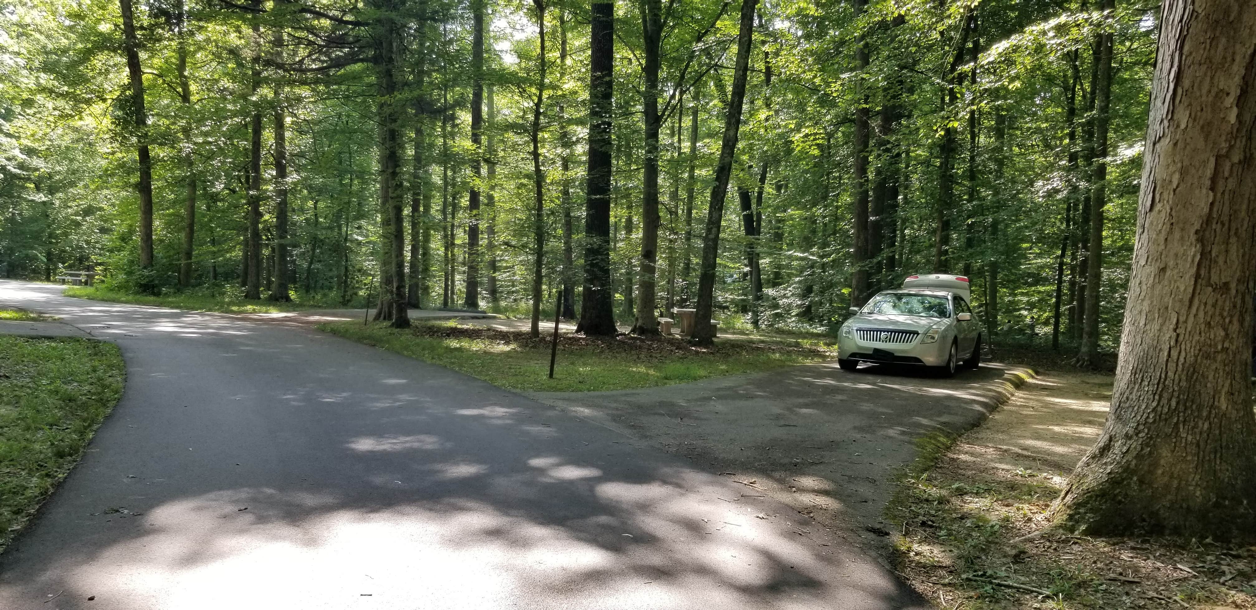 Mammoth Cave Campground | The Dyrt