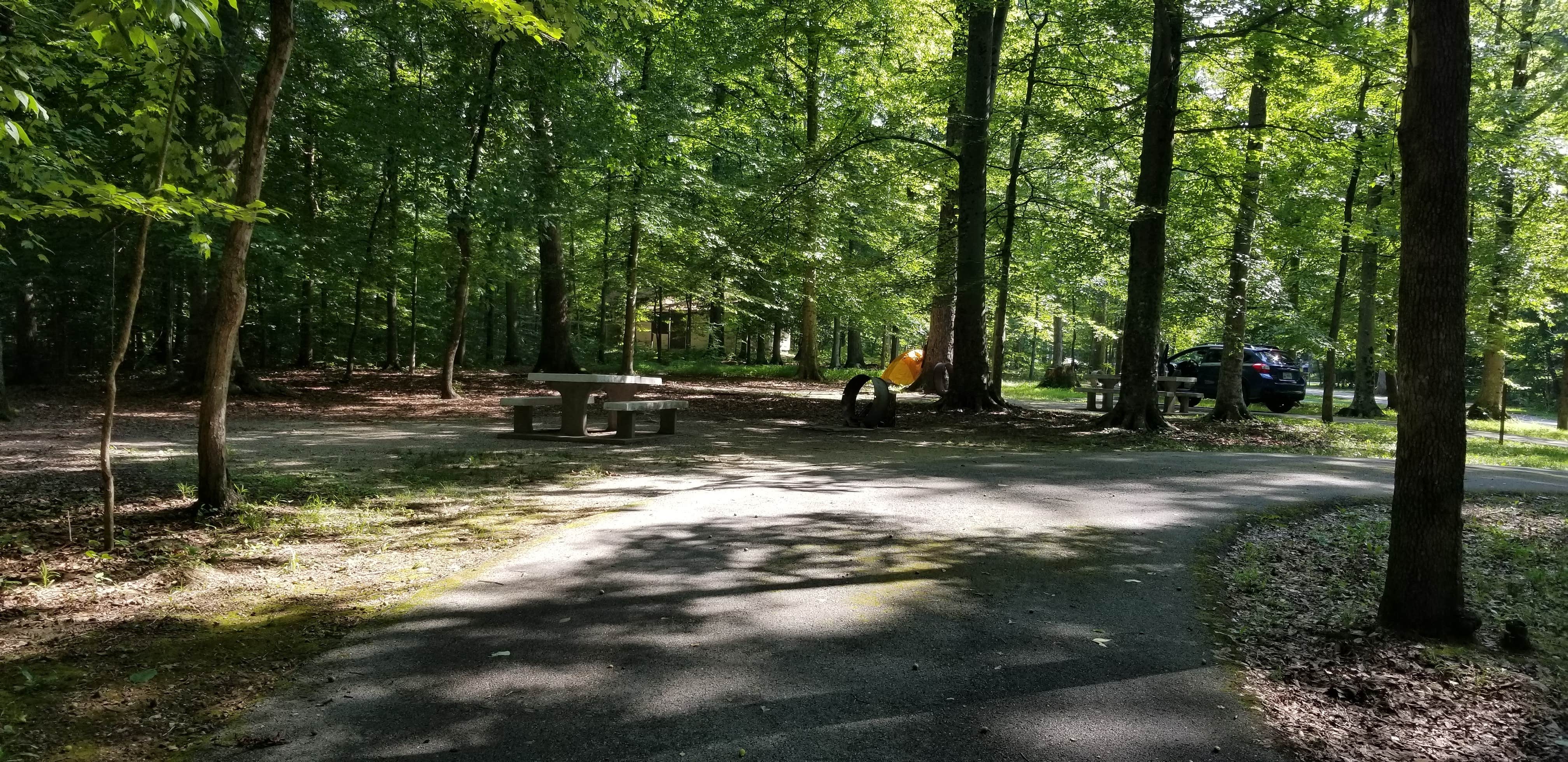 Mammoth Cave Campground | The Dyrt