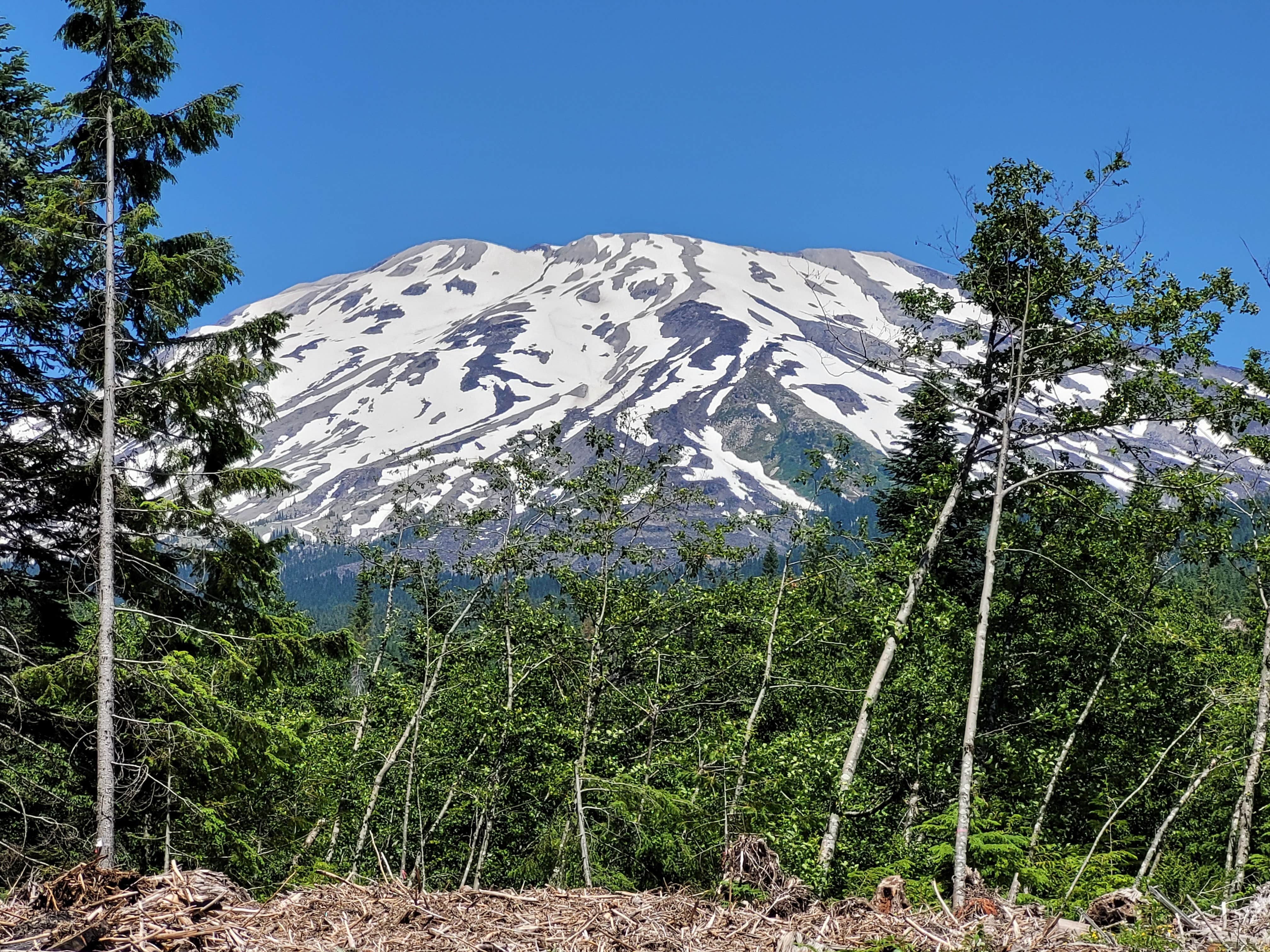 Lone Fir Resort Camping | Cougar, Washington