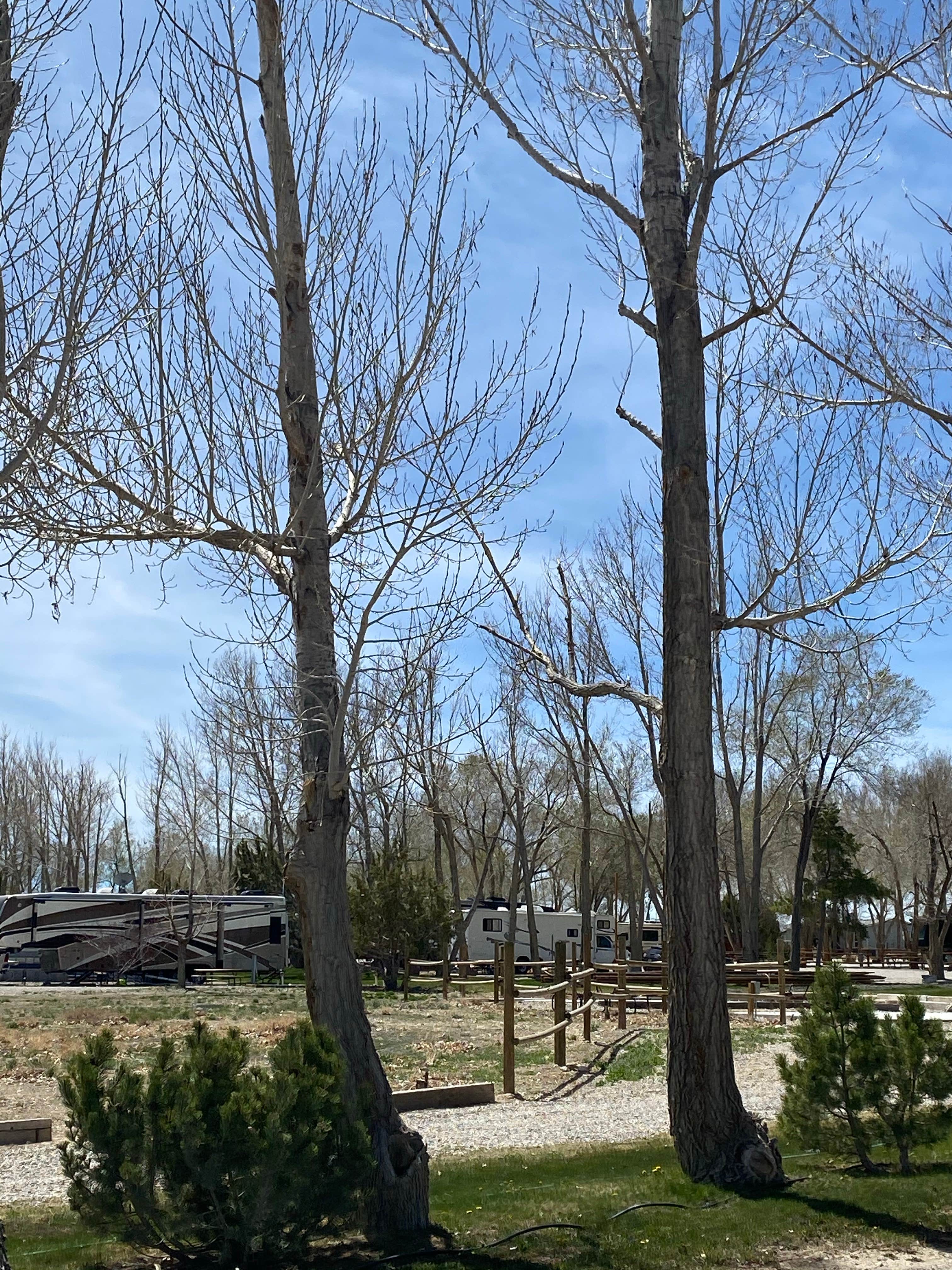 Valley View RV & Mobile Home Park | Ely, NV