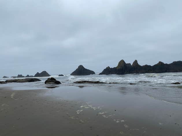 Seal Rocks RV Cove | The Dyrt