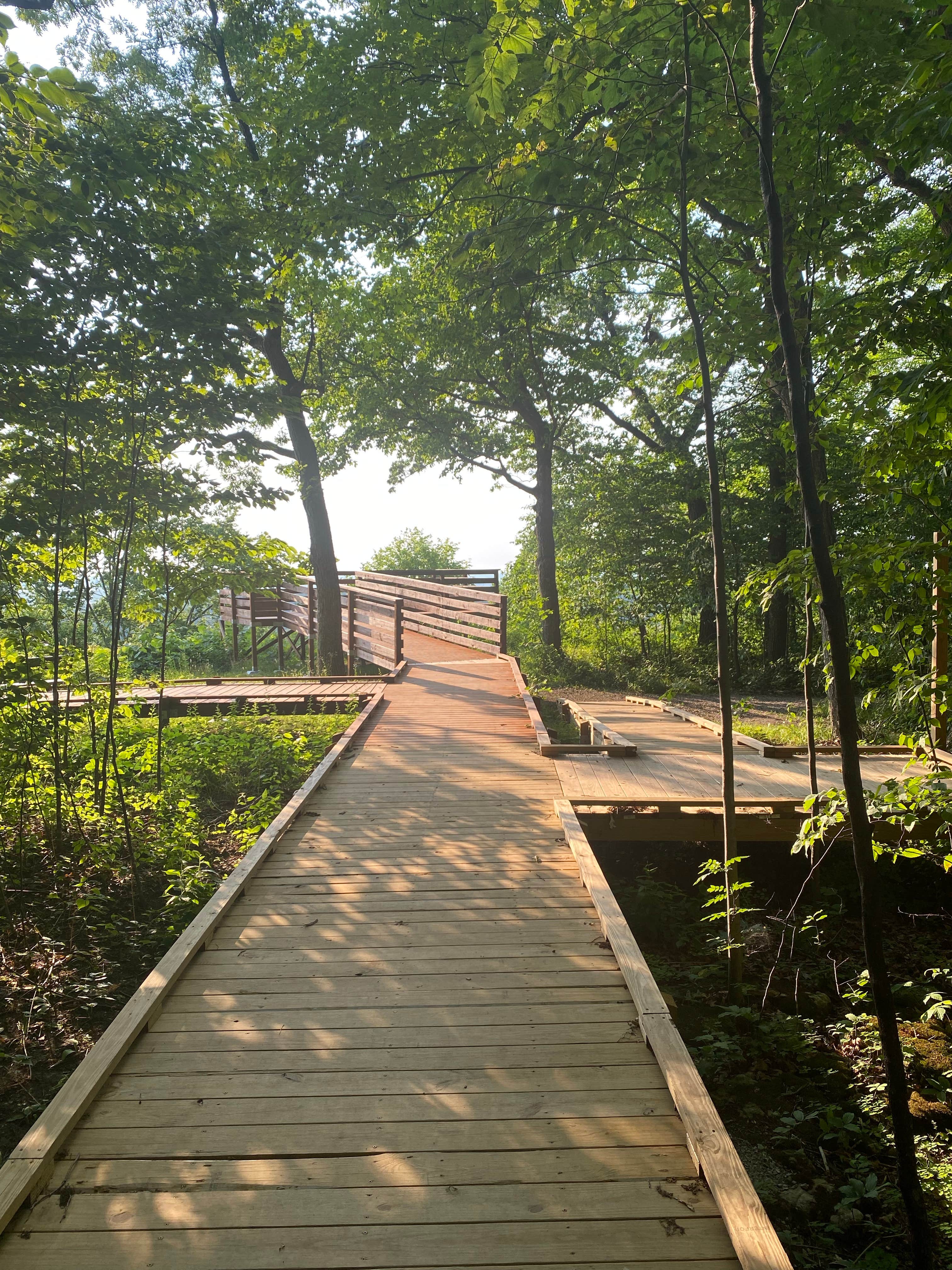 Ledge County Park Camping | Horicon, WI